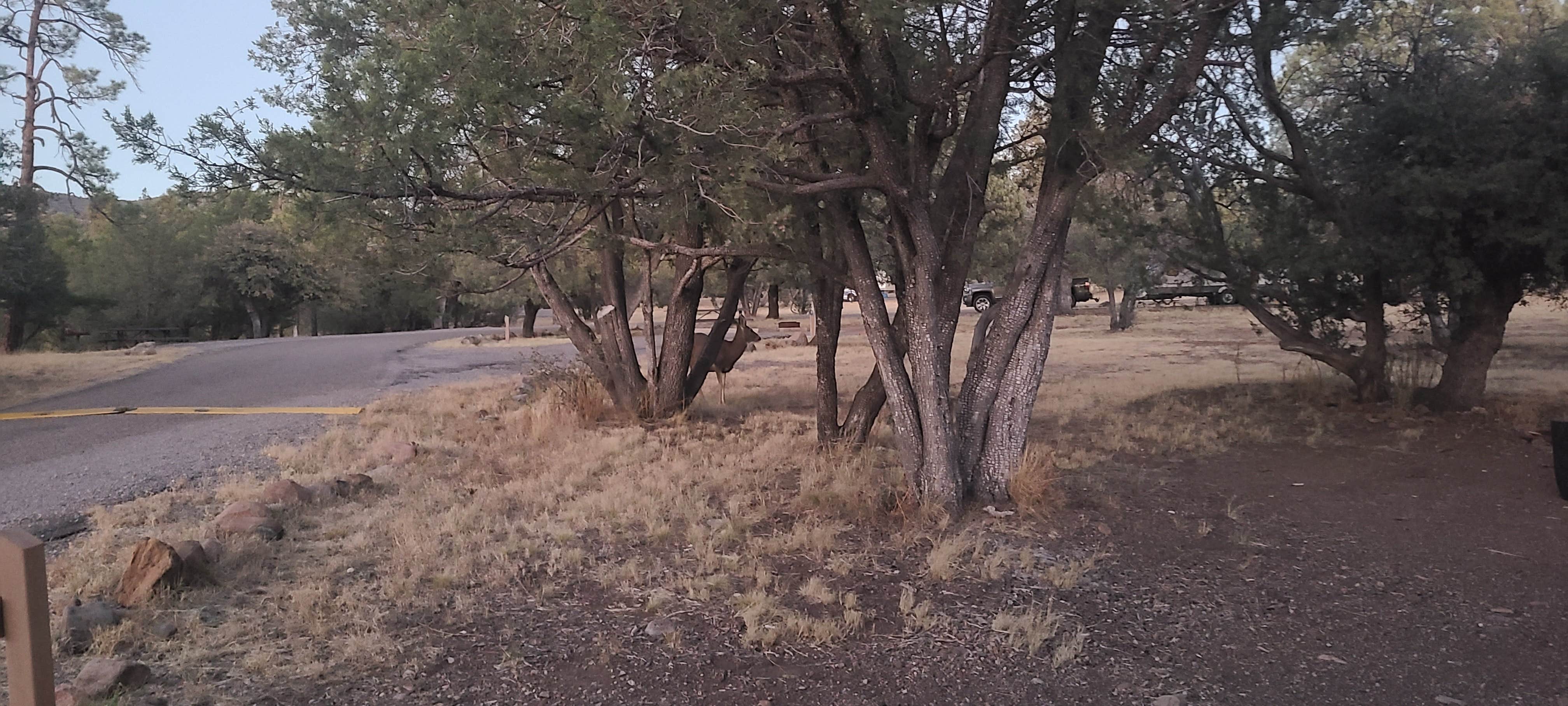 Mesa Campground | Silver City, NM