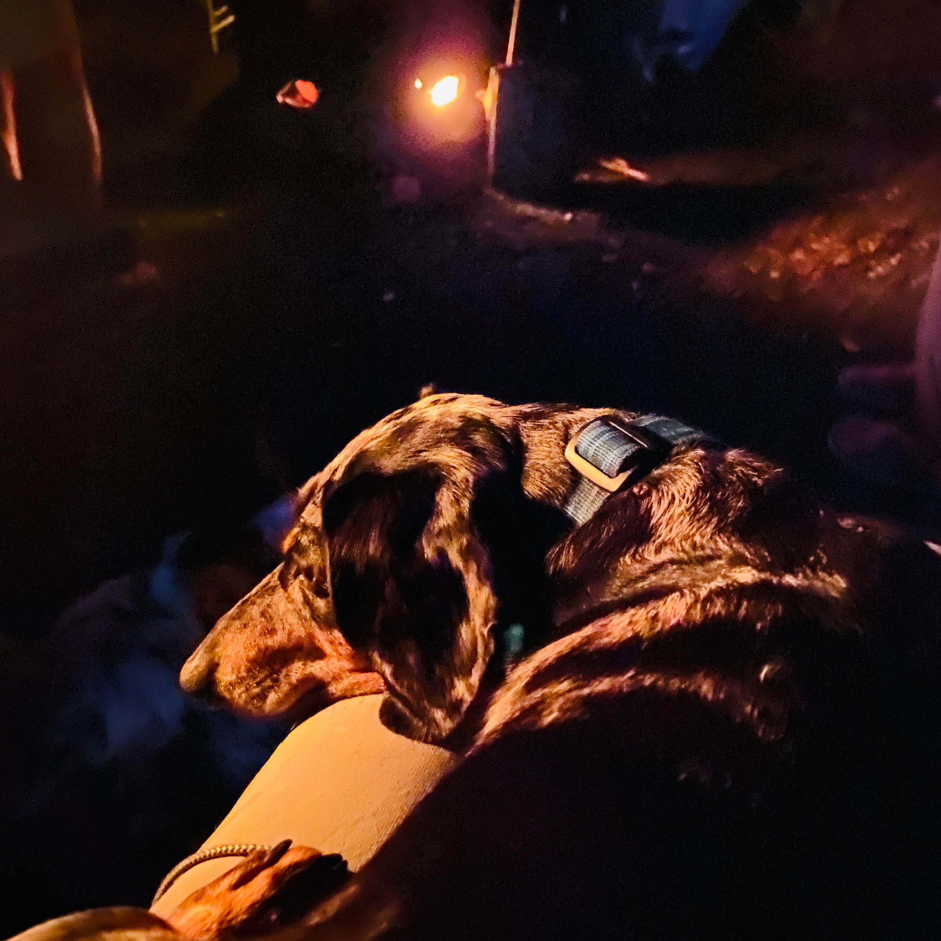 Backbone Rock Recreation Area Pavilions and Campground Camping | The Dyrt