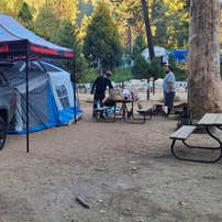 River Rest Resort Camping | Washington, California
