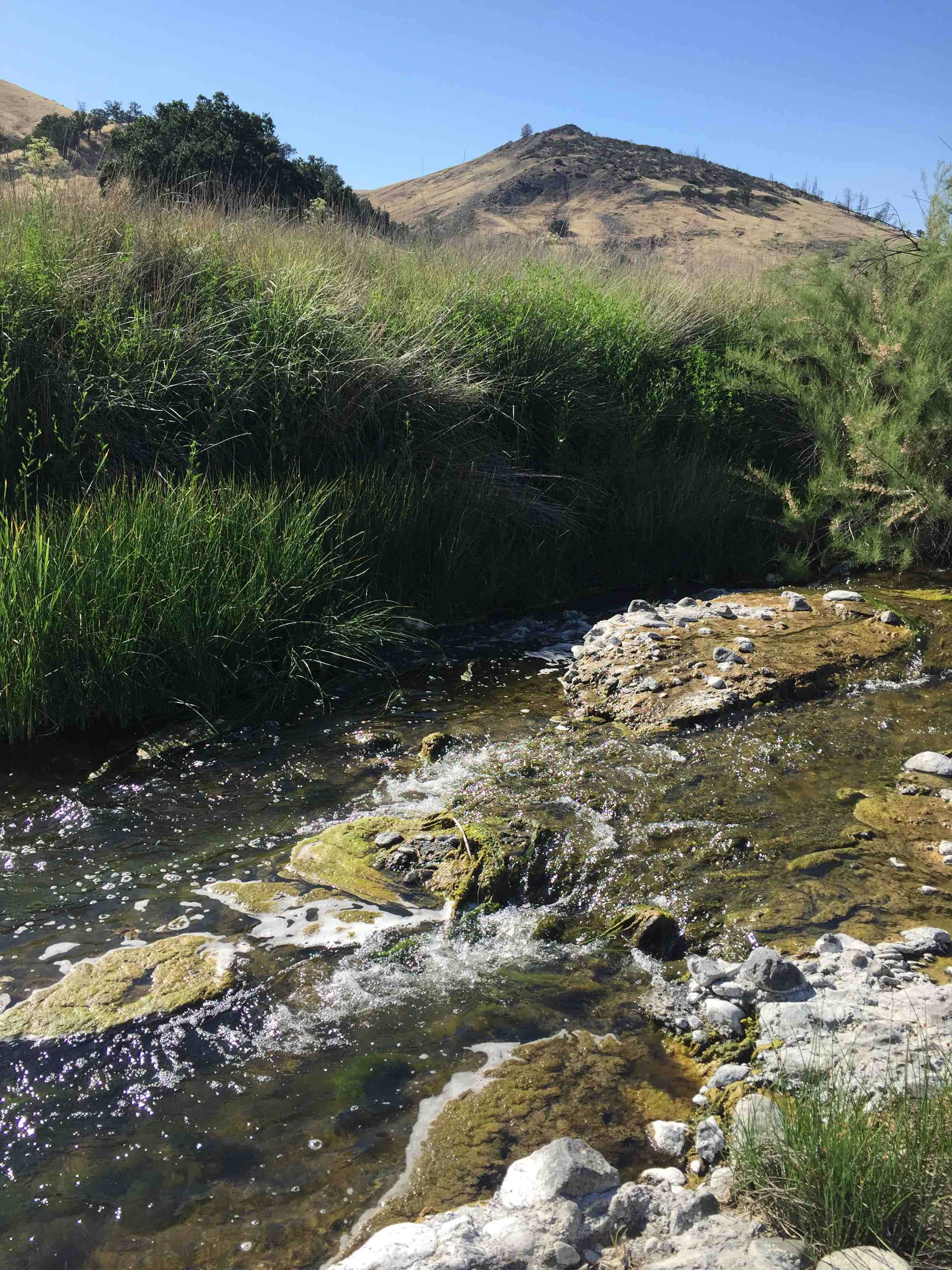 Cache Creek Regional Park Campground | Rumsey, California