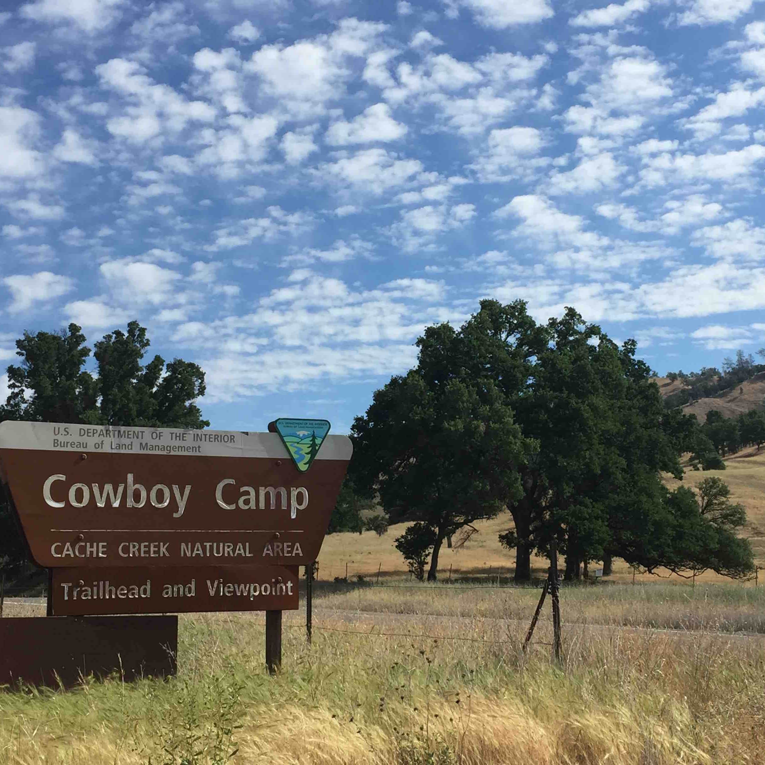 Cache Creek Regional Park Camping | The Dyrt