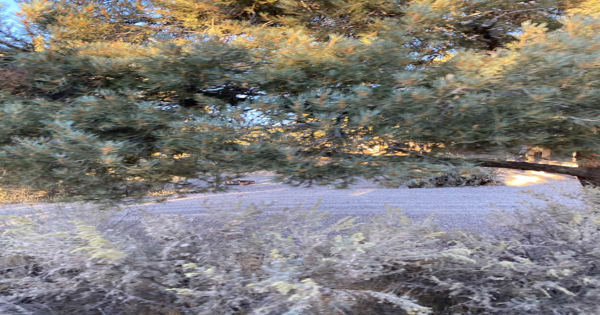 Ranch Camp — Spring Valley State Park | Pioche, NV