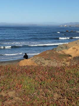 Lawson's Landing Camping | The Dyrt