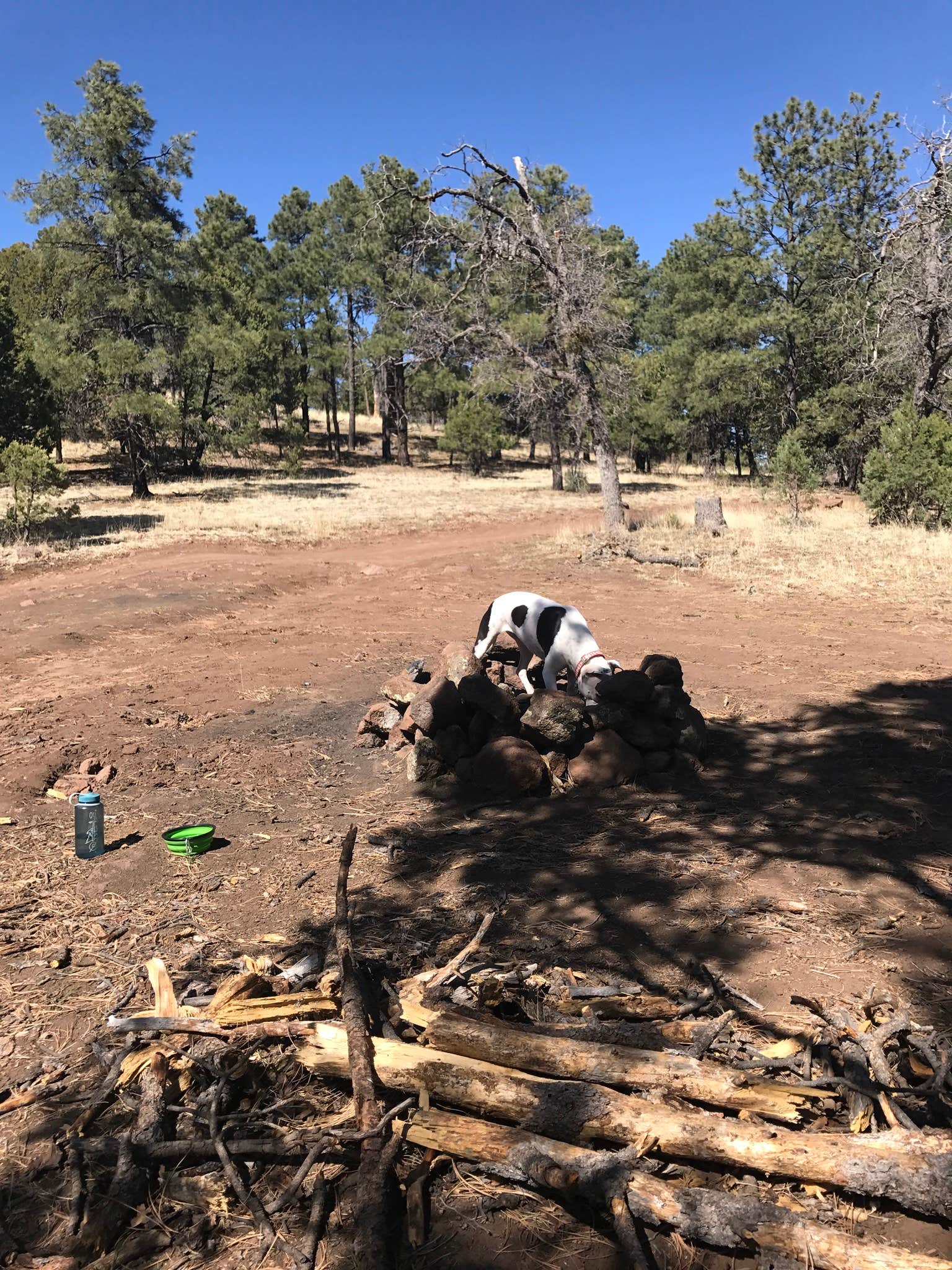 Potato Patch Campground | Camp verde, AZ