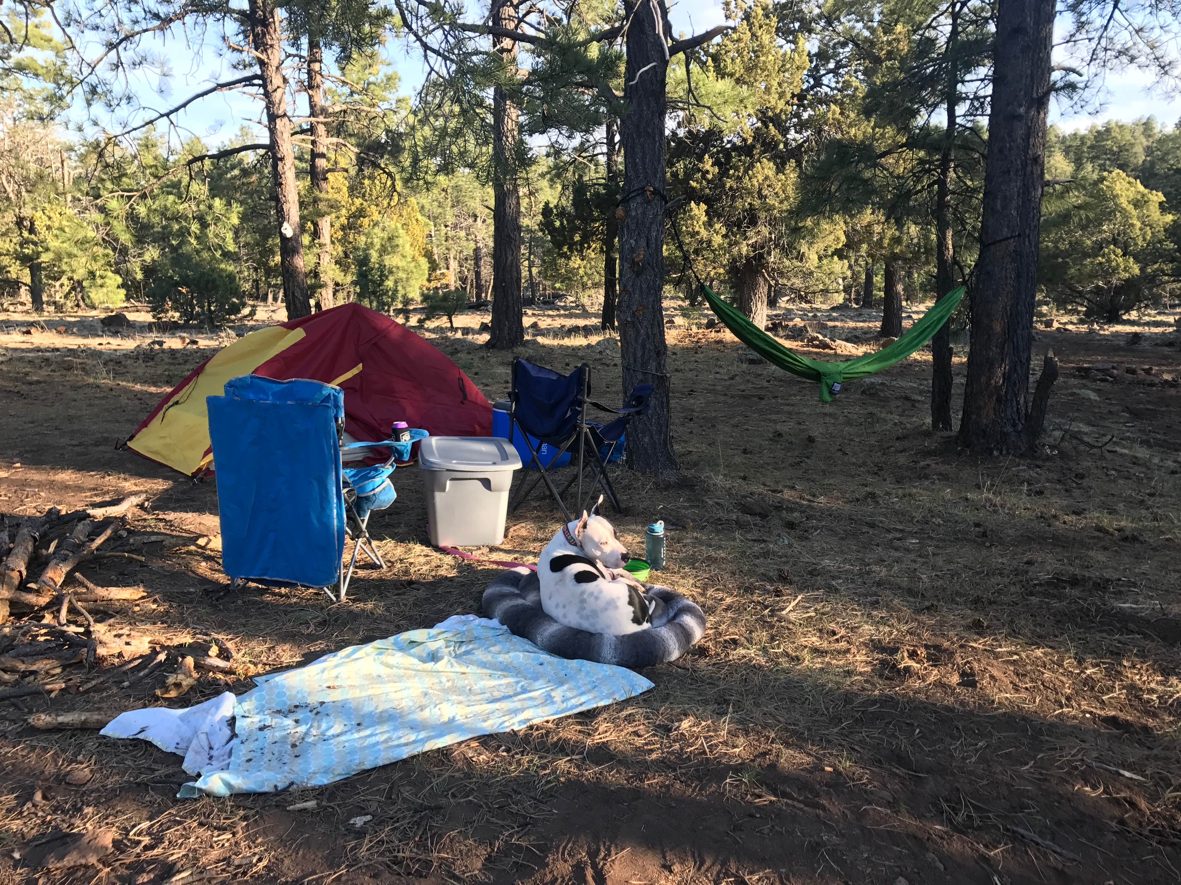 Potato Patch Campground | Jerome, Arizona