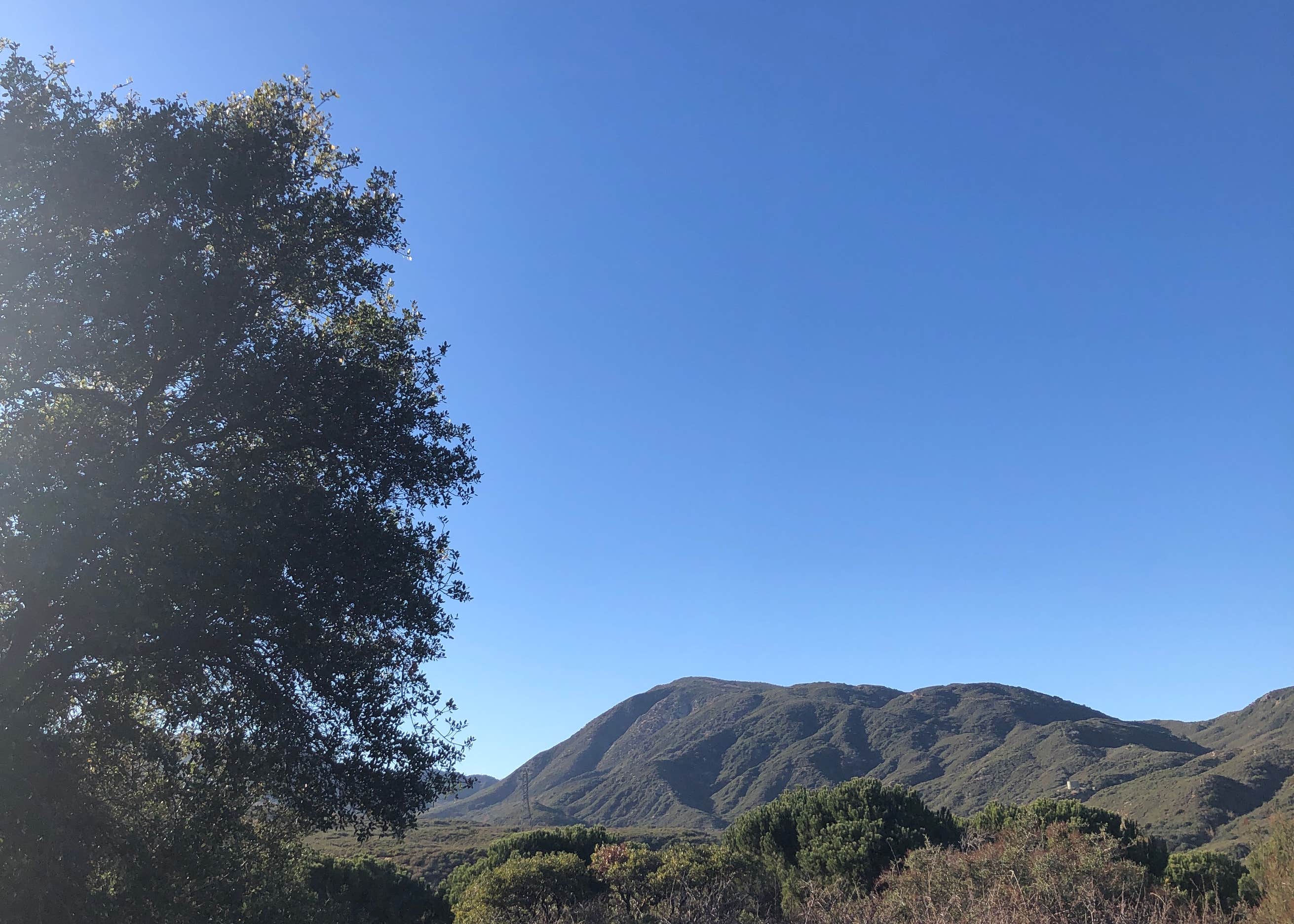 Silverwood Lake State Recreation Area Campground Camping | The Dyrt