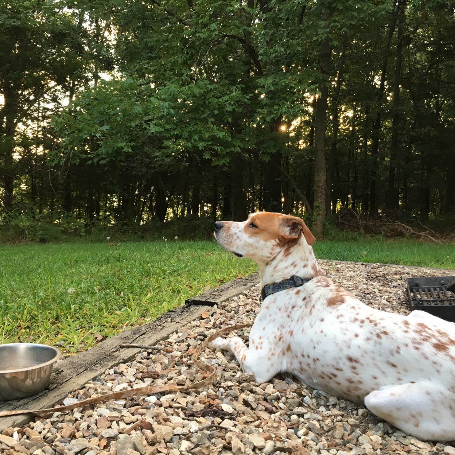 Ray Behrens Recreational Camping | Mark Twain Lake, Missouri