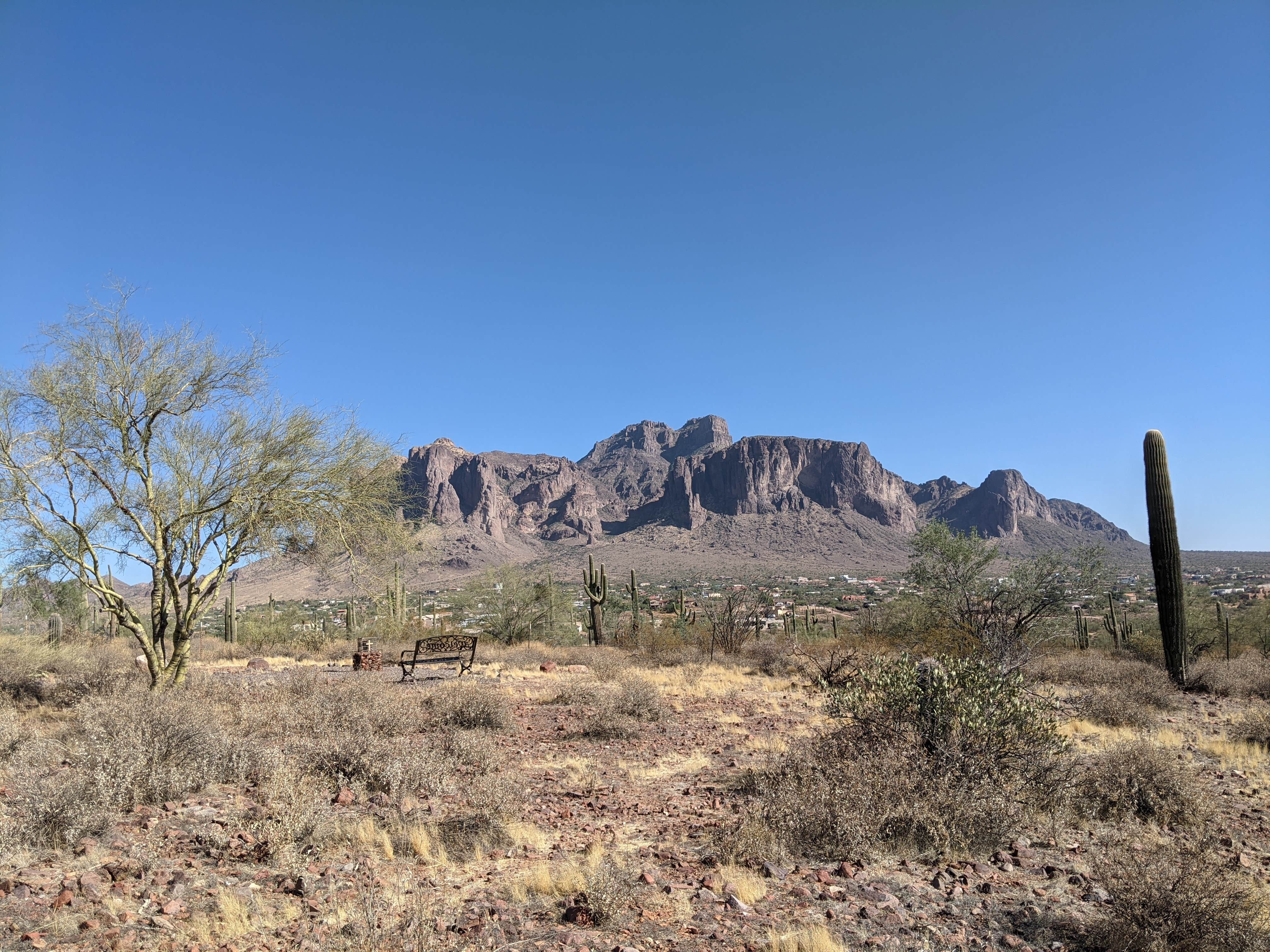 Cotton Lane RV Resort | Goodyear, AZ