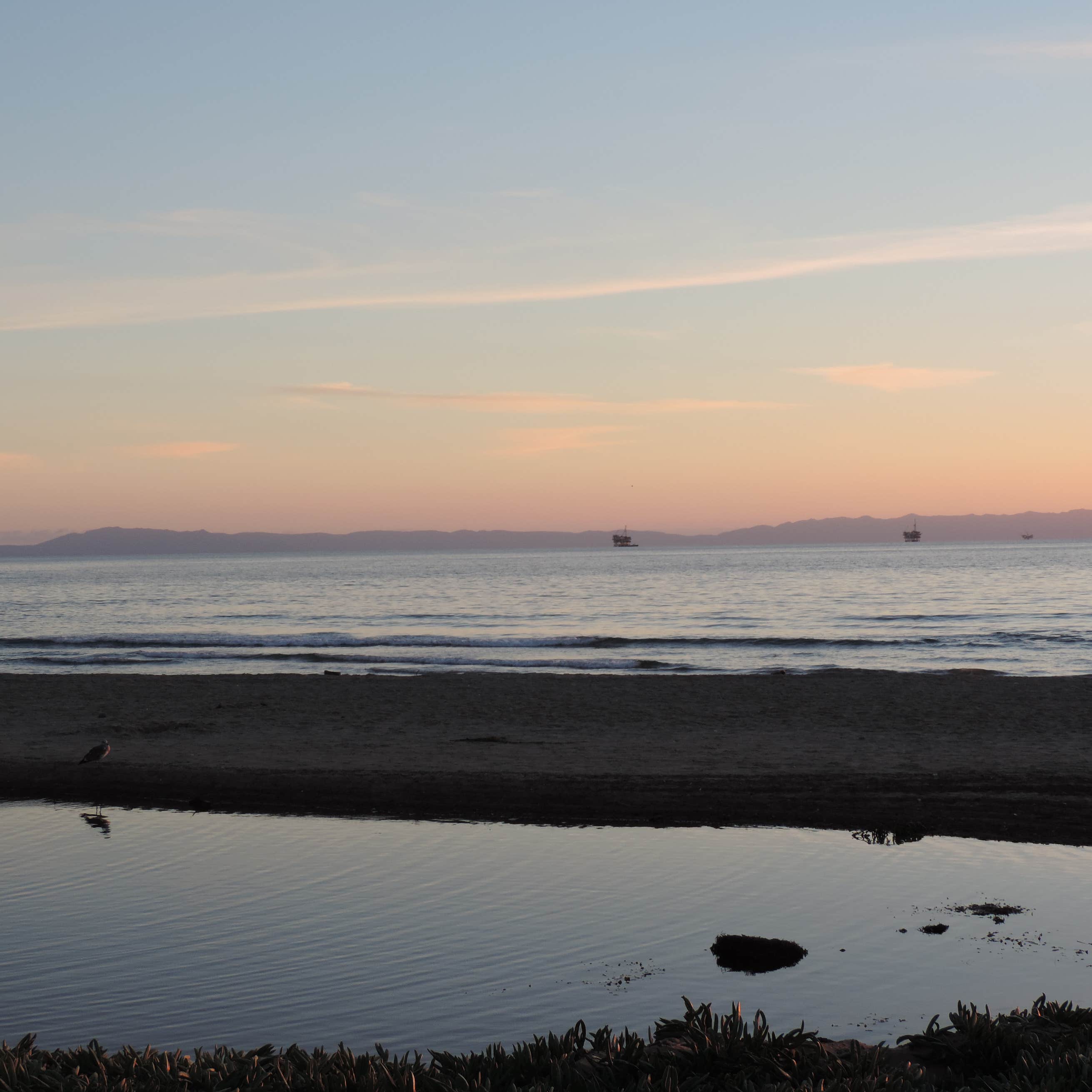 Carpinteria State Beach Camping | The Dyrt