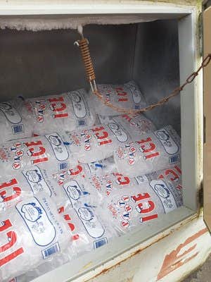 Buckaloons Camping | Irvine, Pennsylvania