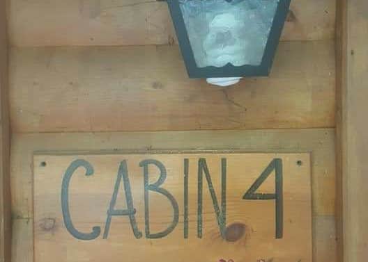 Bull Run Regional Park Camping | The Dyrt