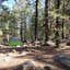 Freidlein Prairie Dispersed Camping Camping | The Dyrt
