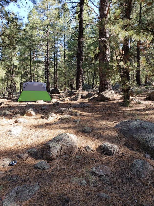 Freidlein Prairie Dispersed Camping Camping | The Dyrt