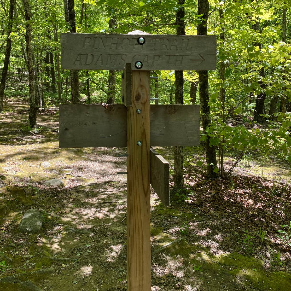 Pinhoti and Skyway Loop Intersection Campground | Lineville, Alabama