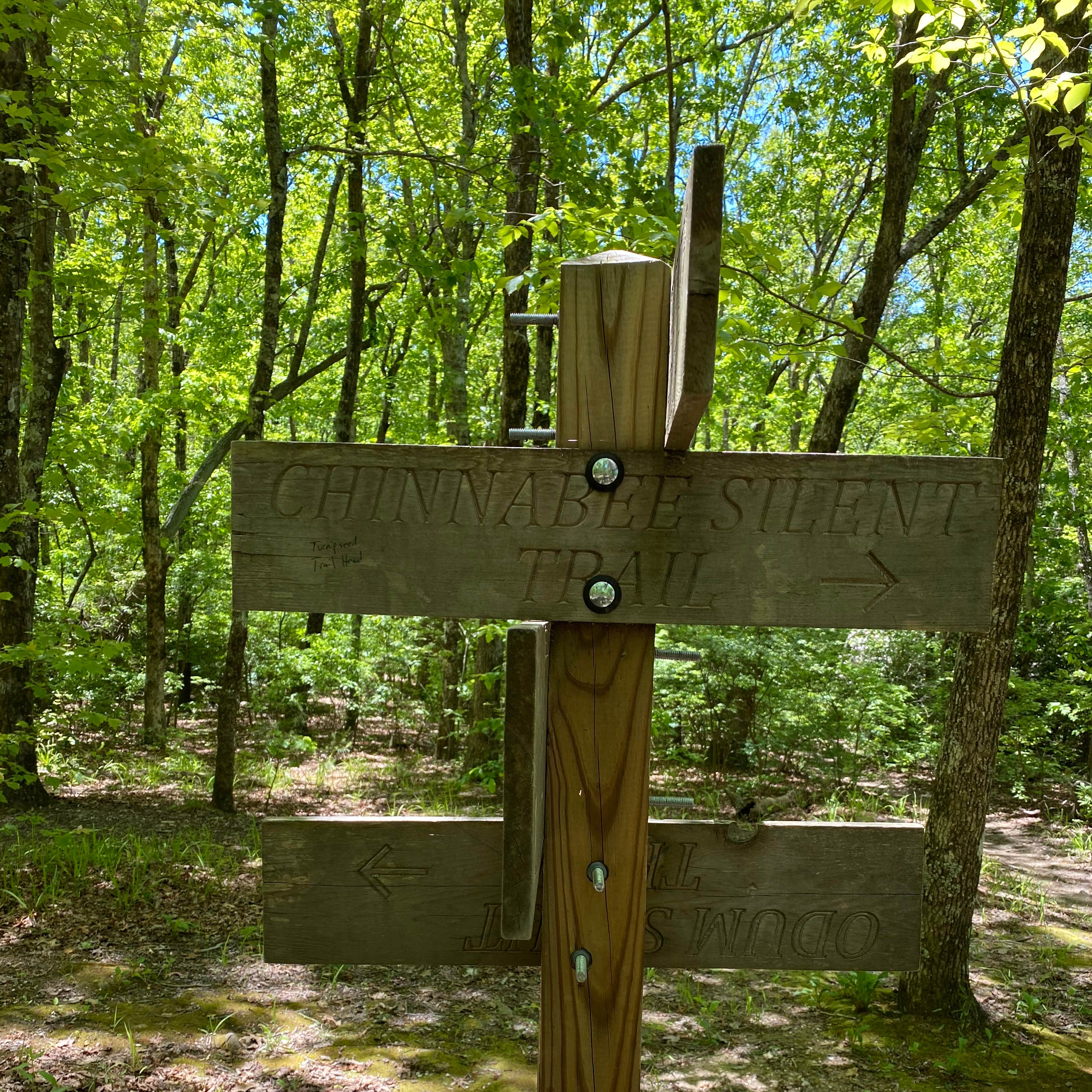 Pinhoti and Skyway Loop Intersection Campground | Lineville, Alabama