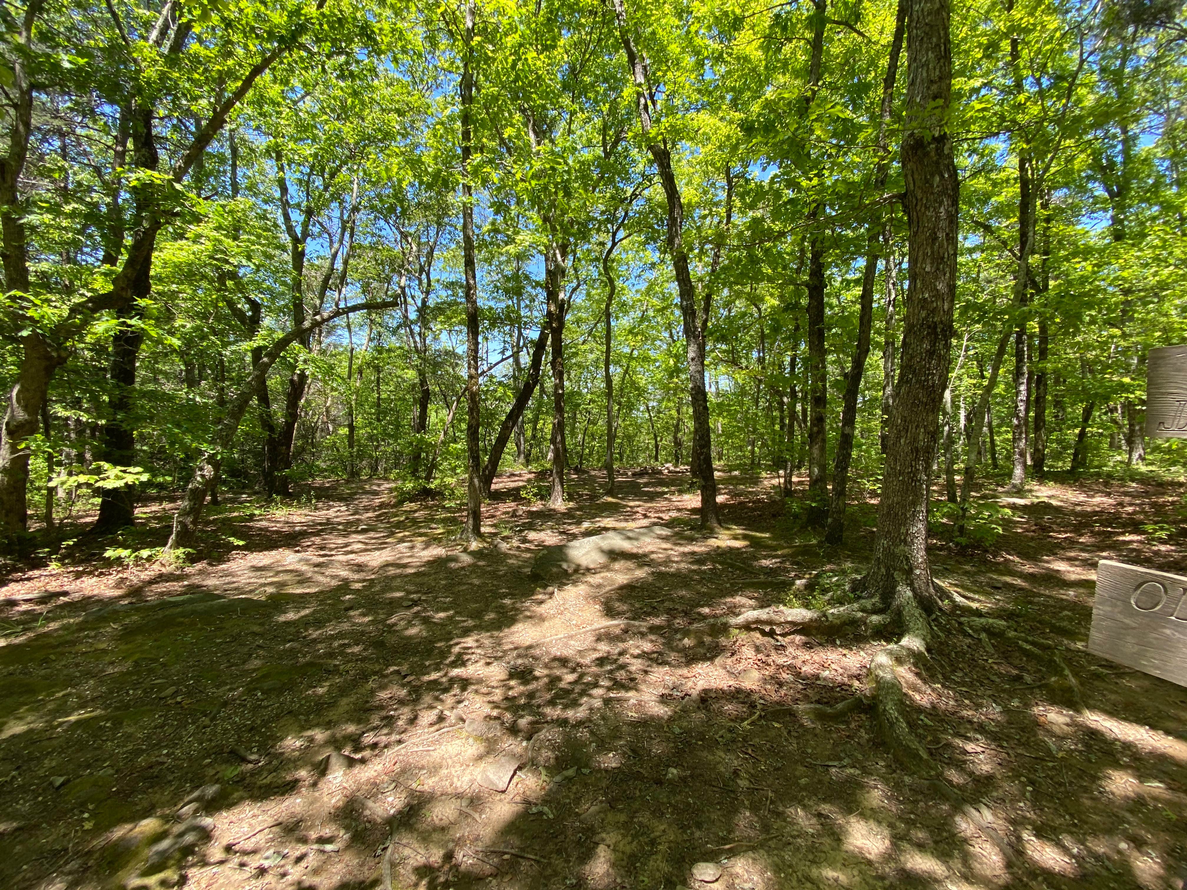 Pinhoti and Skyway Loop Intersection Campground | Lineville, AL