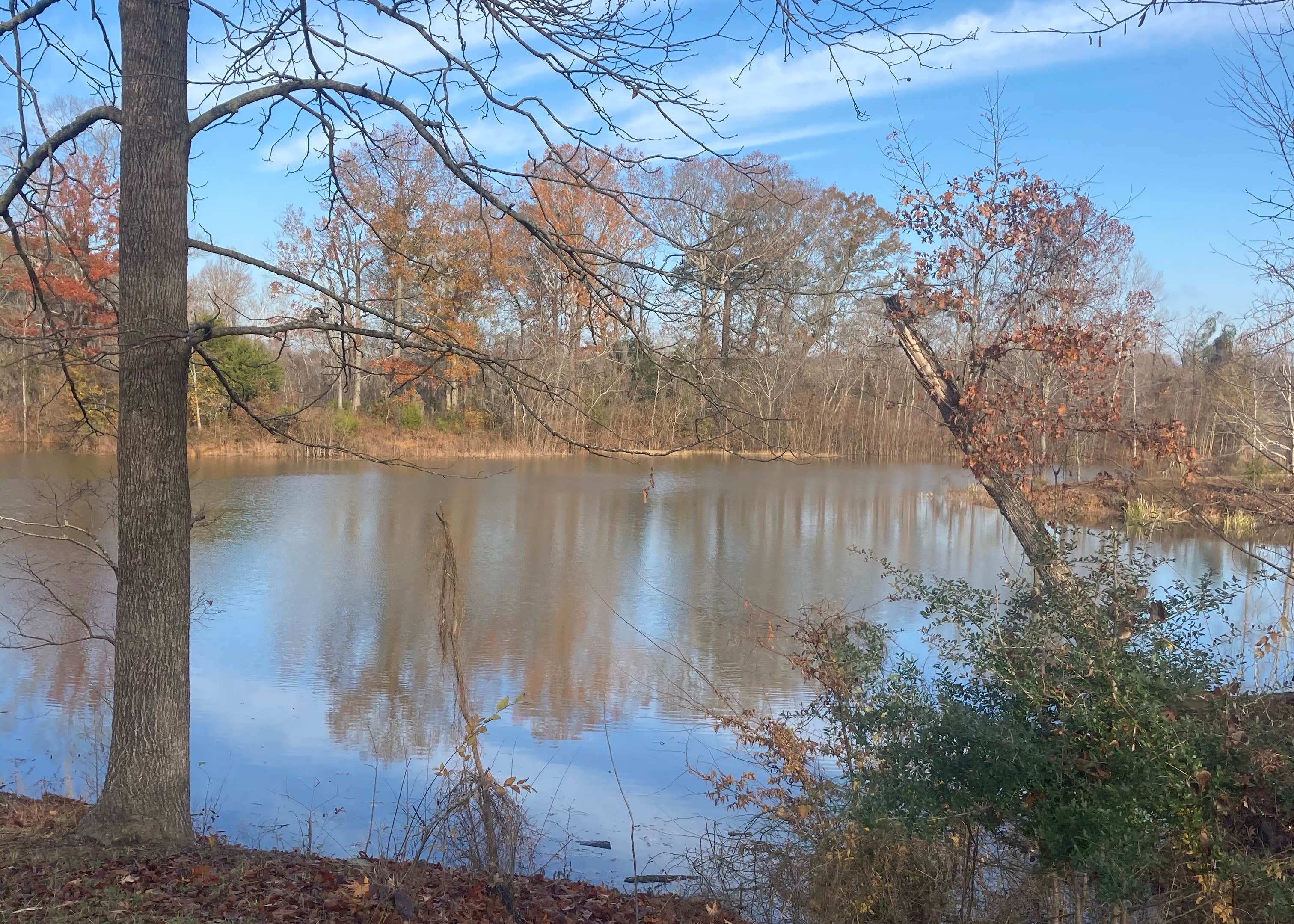 COE Demopolis Lake Foscue Creek Campground Camping | The Dyrt