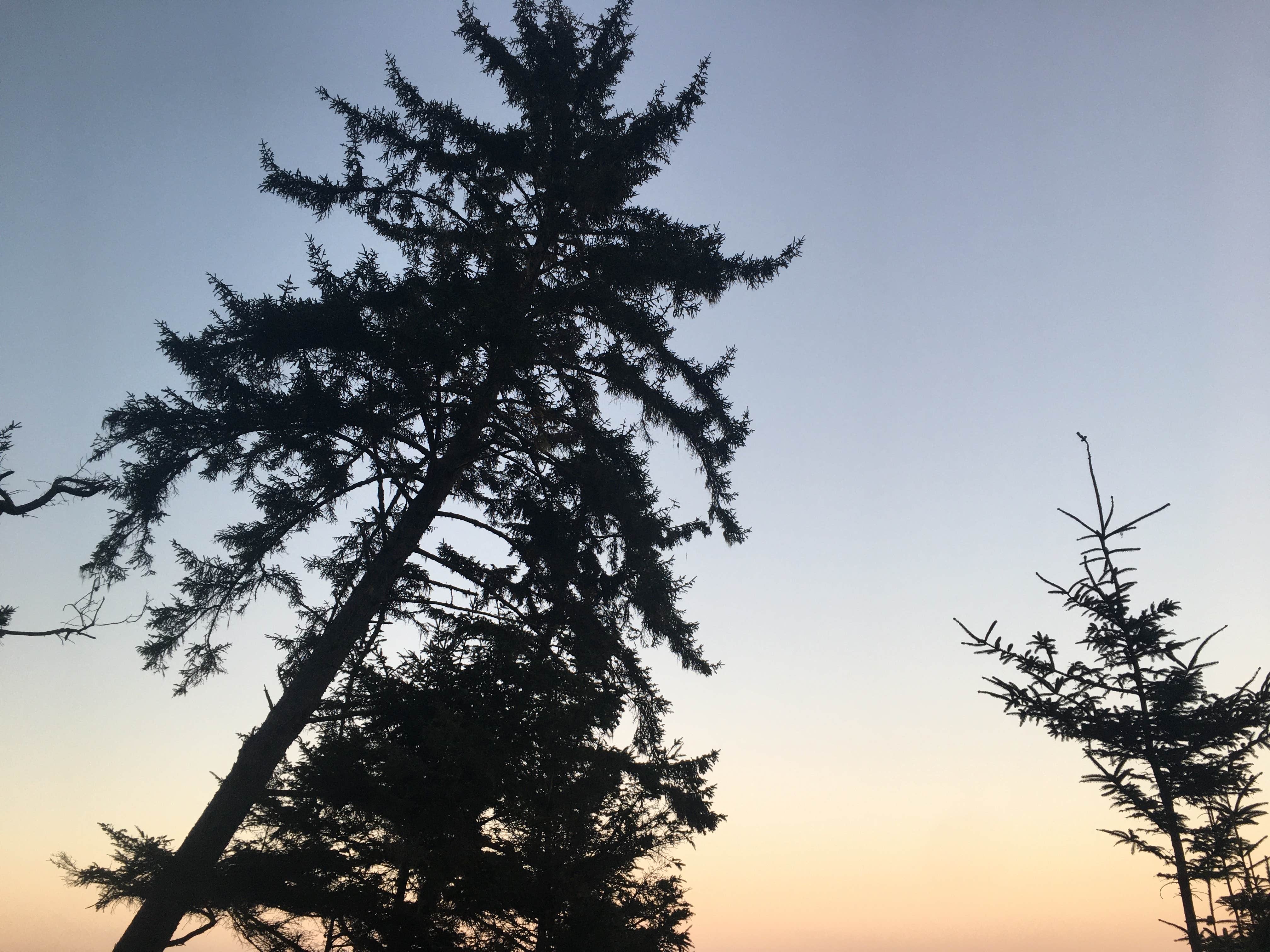 Kyen Campground | Redwood Valley, California
