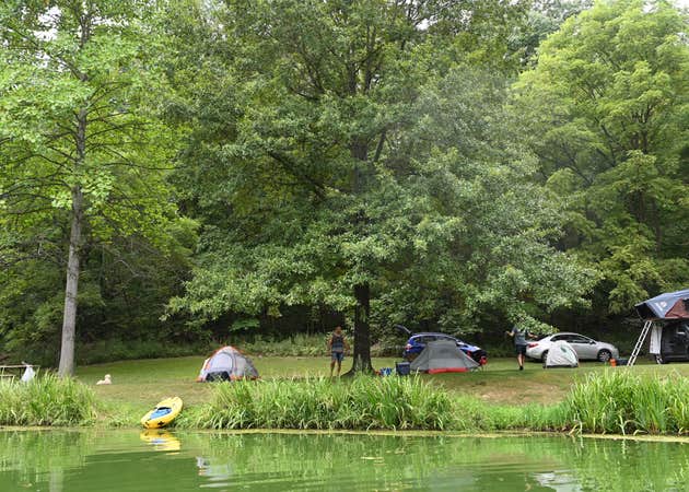 McCully Heritage Project Camping | The Dyrt