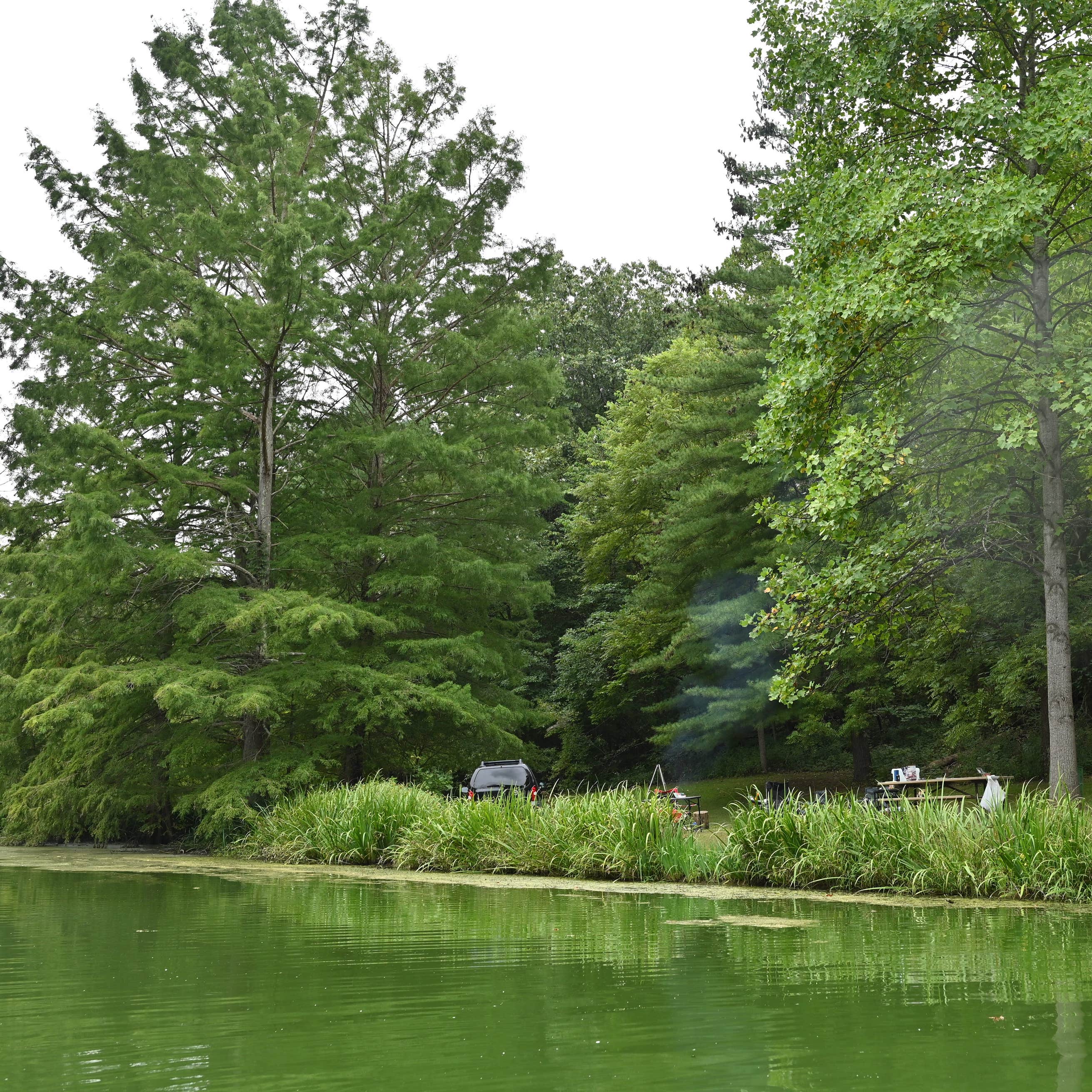 McCully Heritage Project Camping | The Dyrt