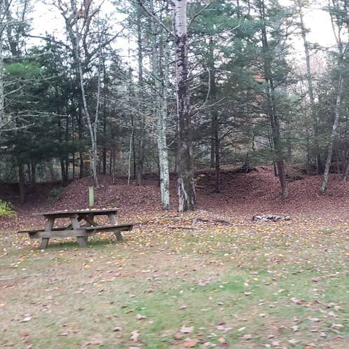Frog Hollow Horse Camp at Pachaug State Forest Camping | Voluntown, CT ...