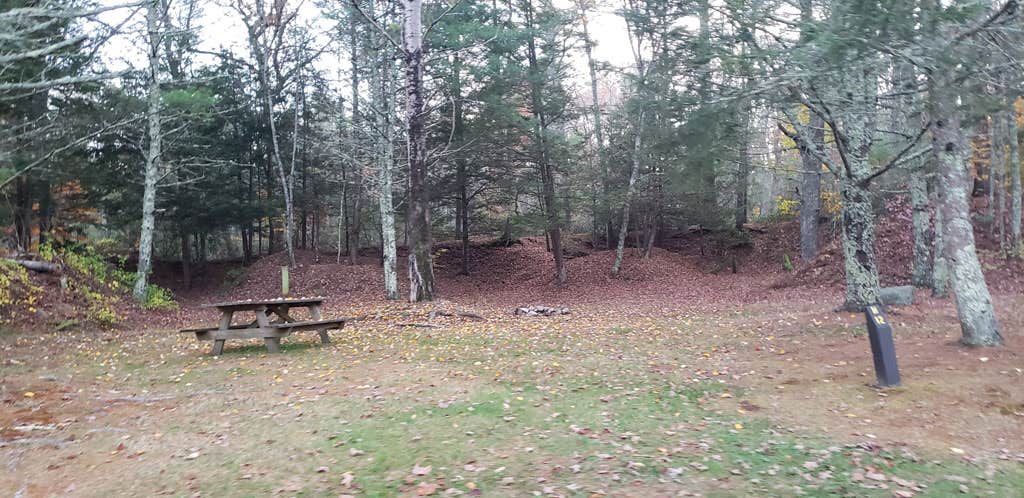 Frog Hollow Horse Camp at Pachaug State Forest | Voluntown, CT