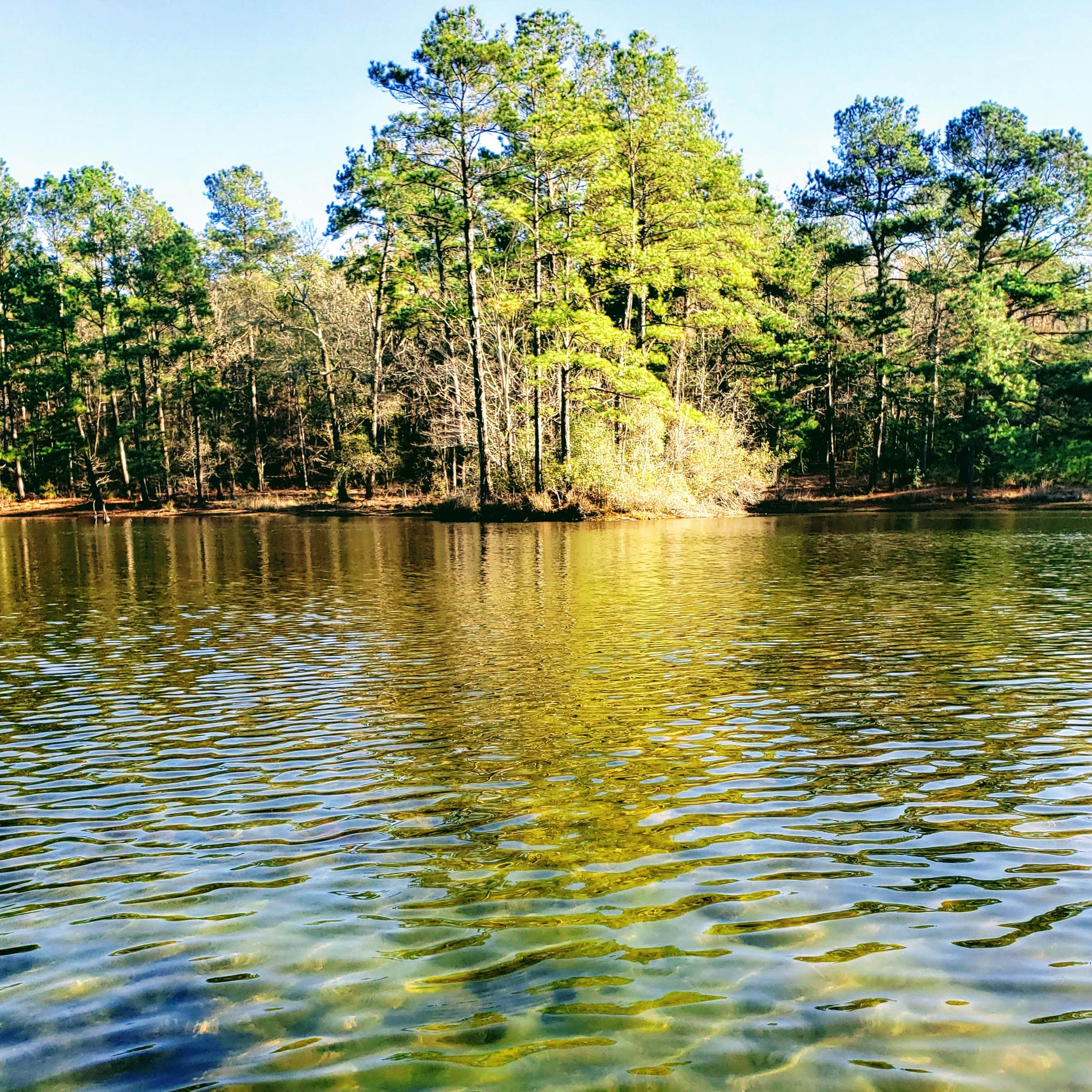 Lake Niederhoffer Campsite Camping | The Dyrt