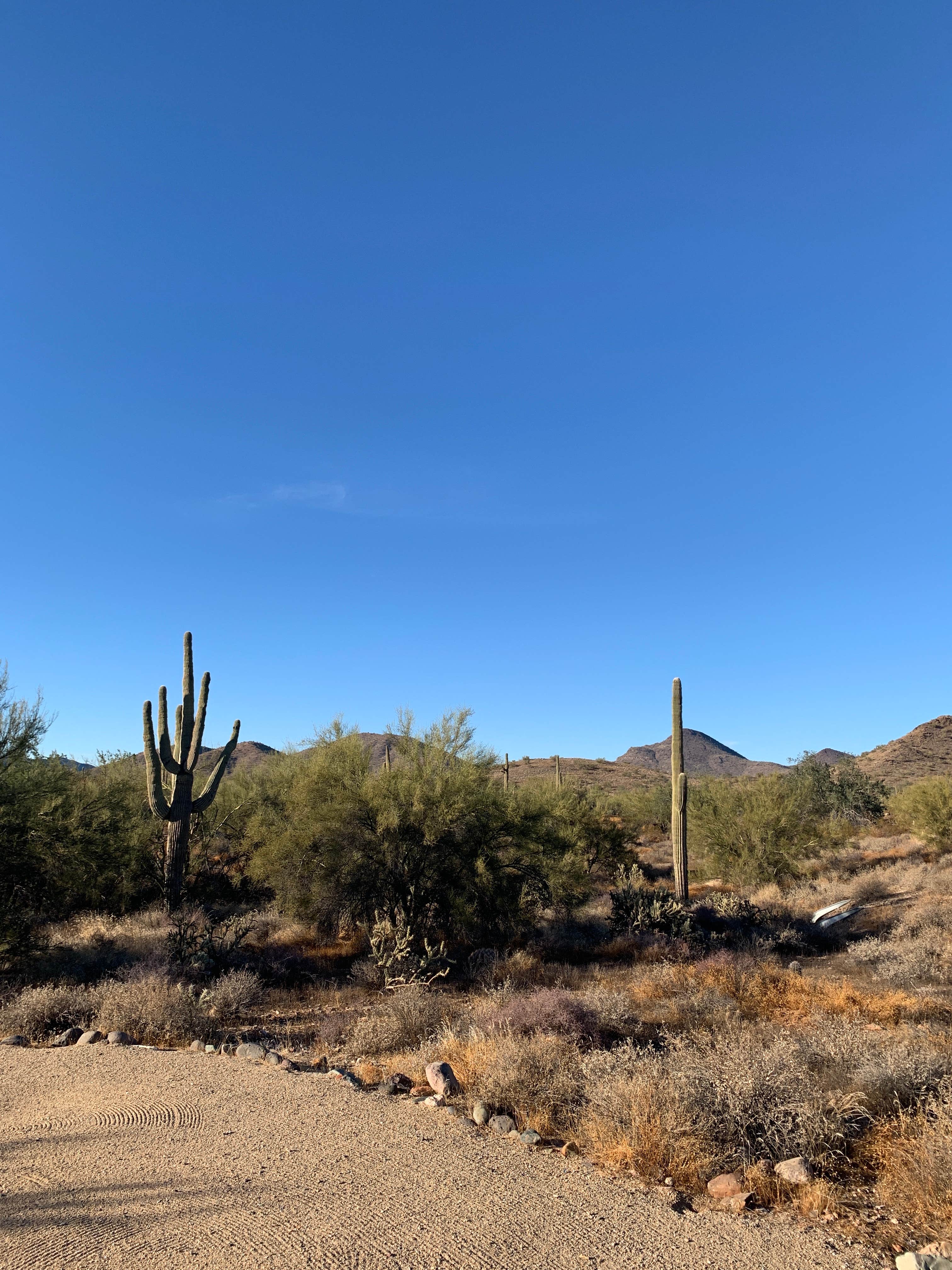 Cave Creek Regional Park Camping | Cave Creek, Arizona