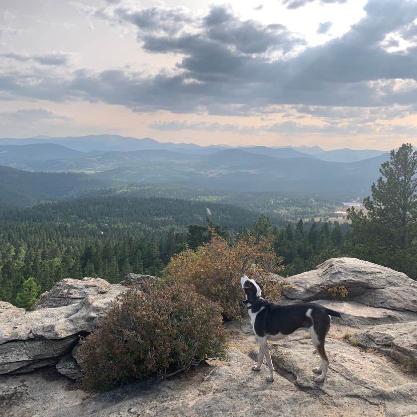 Cold Springs - Arapaho Roosevelt Nf (CO) Camping | Black Hawk, Colorado