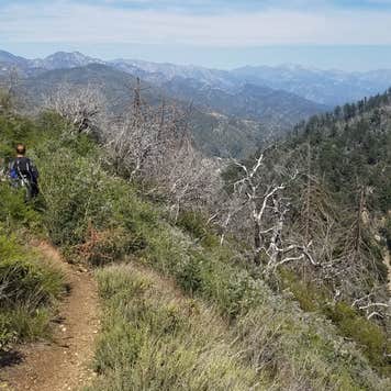 Valley Forge Trail Camp hike in. no drive Camping | The Dyrt