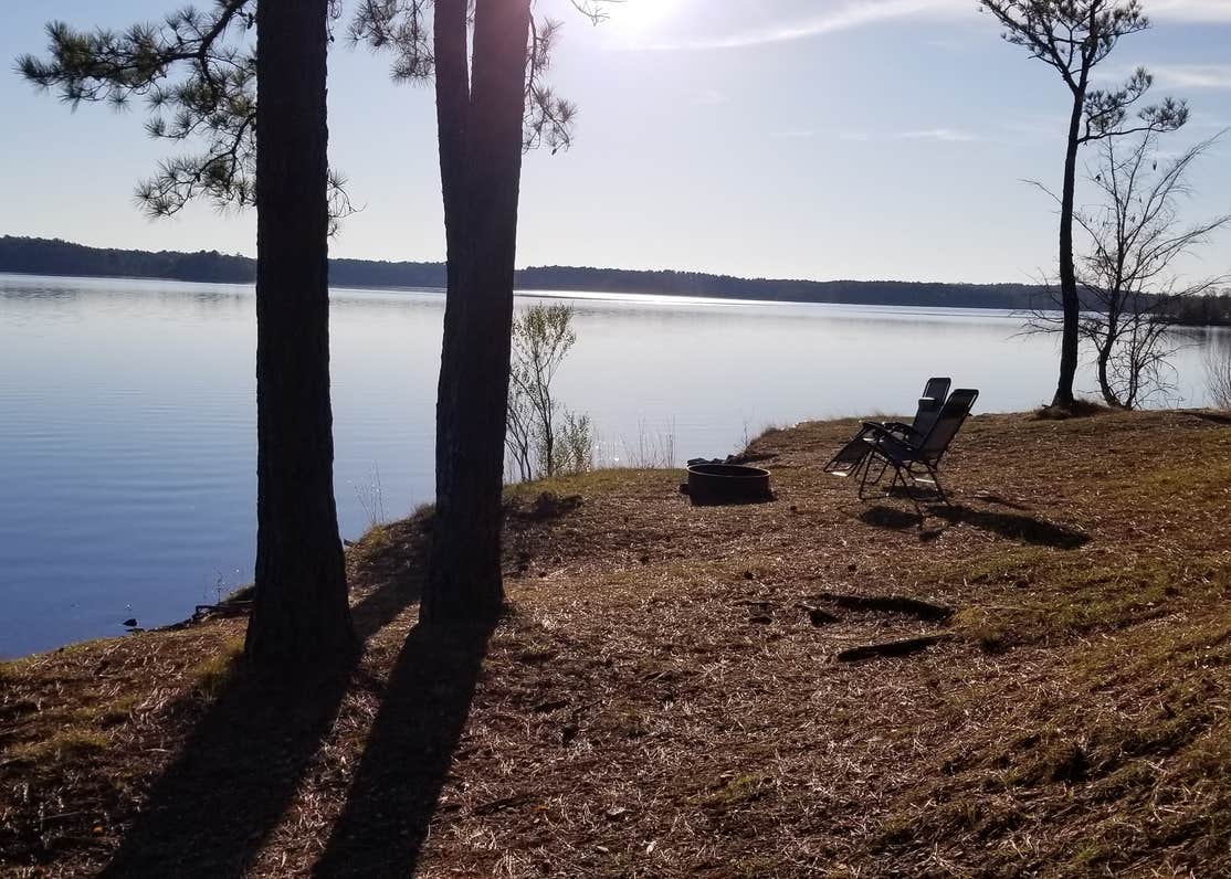 Georgia Power Lake Juliette Dames Ferry Park Camping | The Dyrt