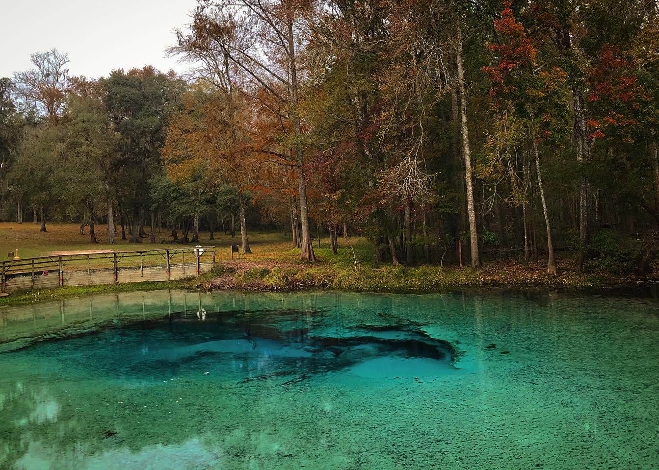 Gilchrist Blue Springs State Park Camping | The Dyrt