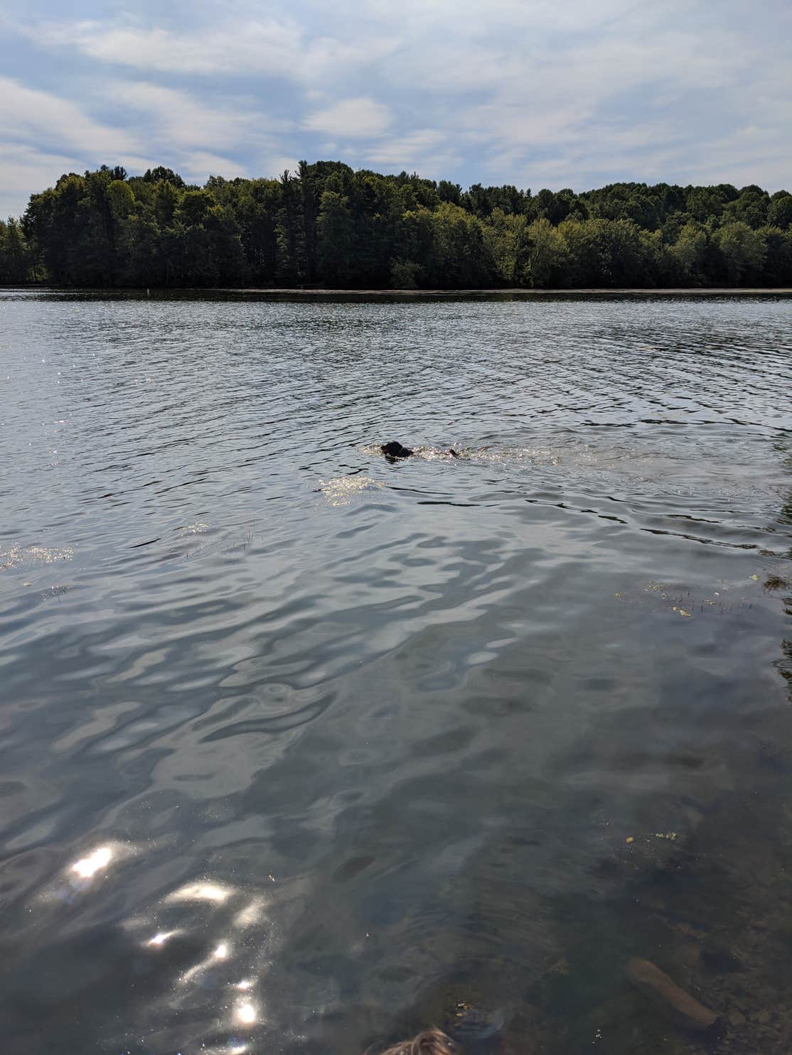 Pymatuning | The Dyrt
