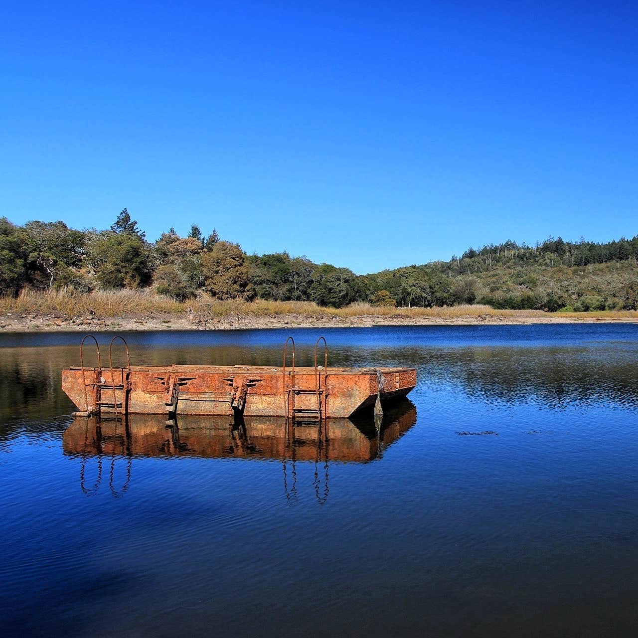 Spring Lake Regional Park Camping | Santa Rosa, CA