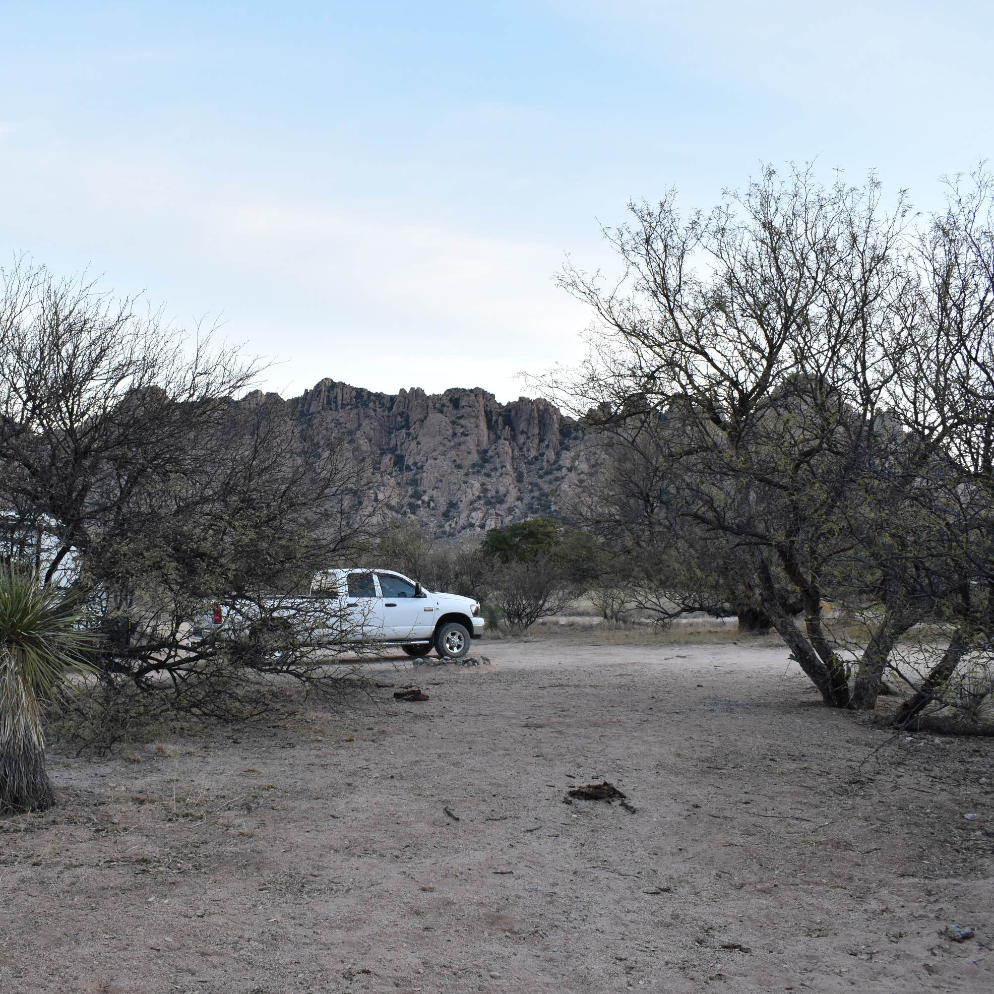 Dragoon Mountains Camping | The Dyrt