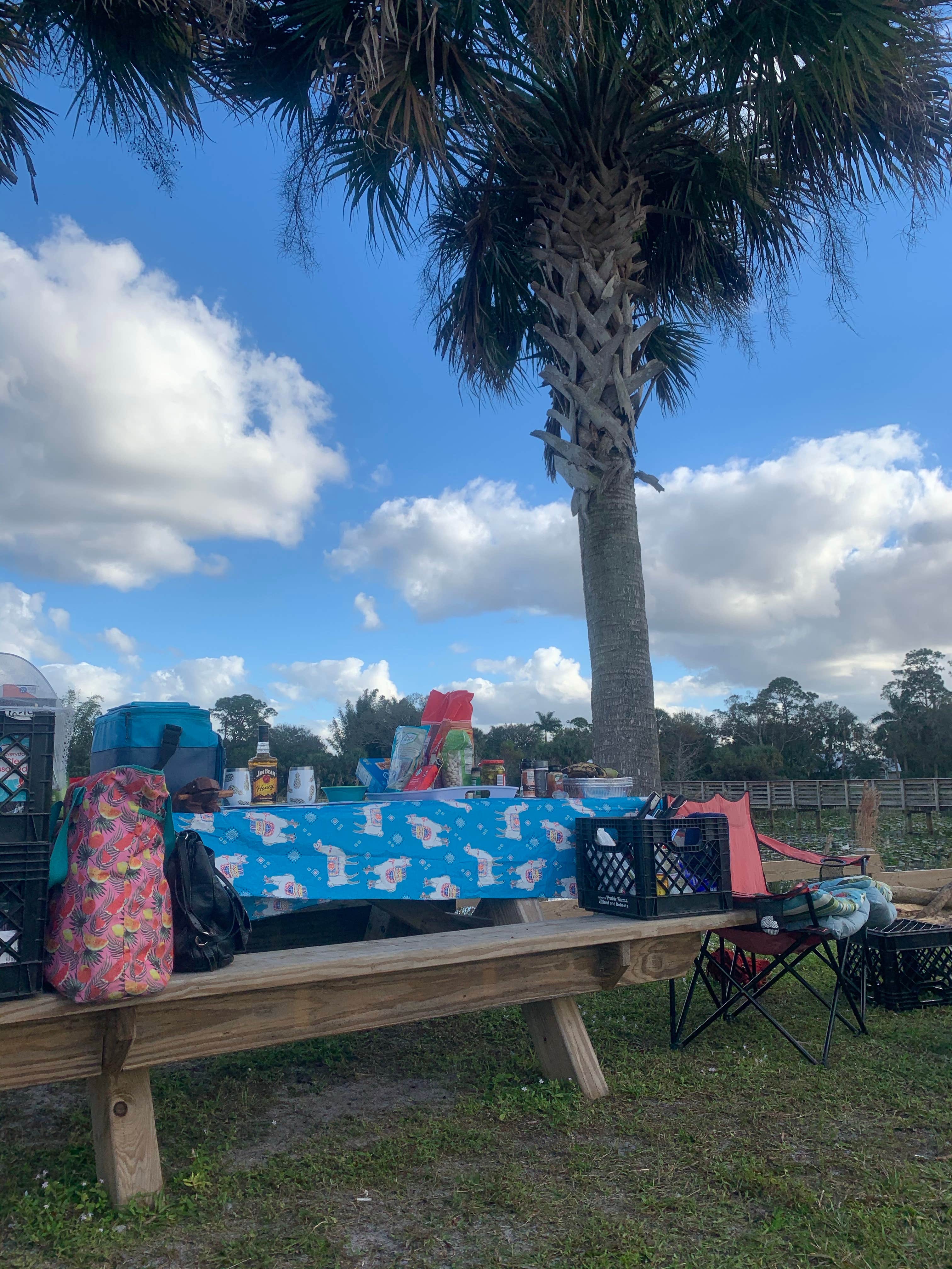 West Jupiter RV Resort LLC | Jupiter, FL