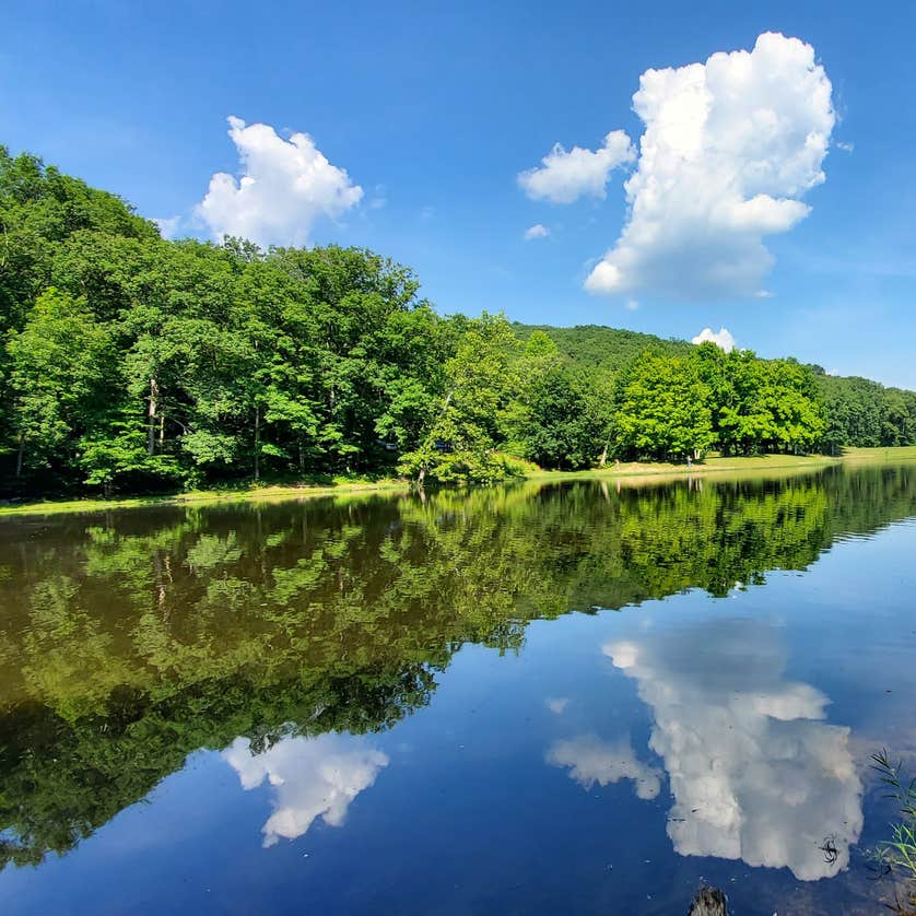 Scioto Trail State Park Camping | The Dyrt