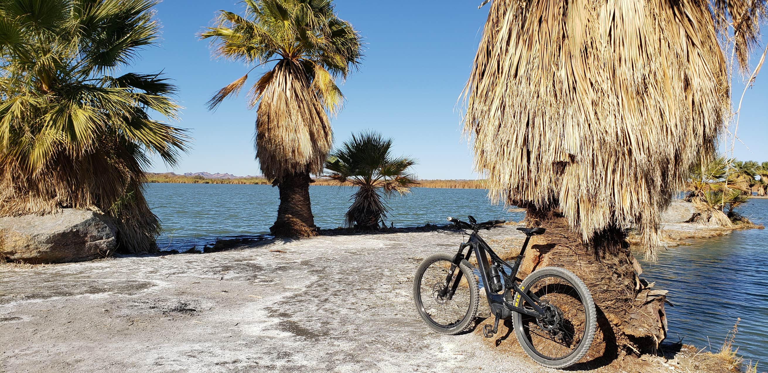 Mittry Lake Wildlife Area | The Dyrt