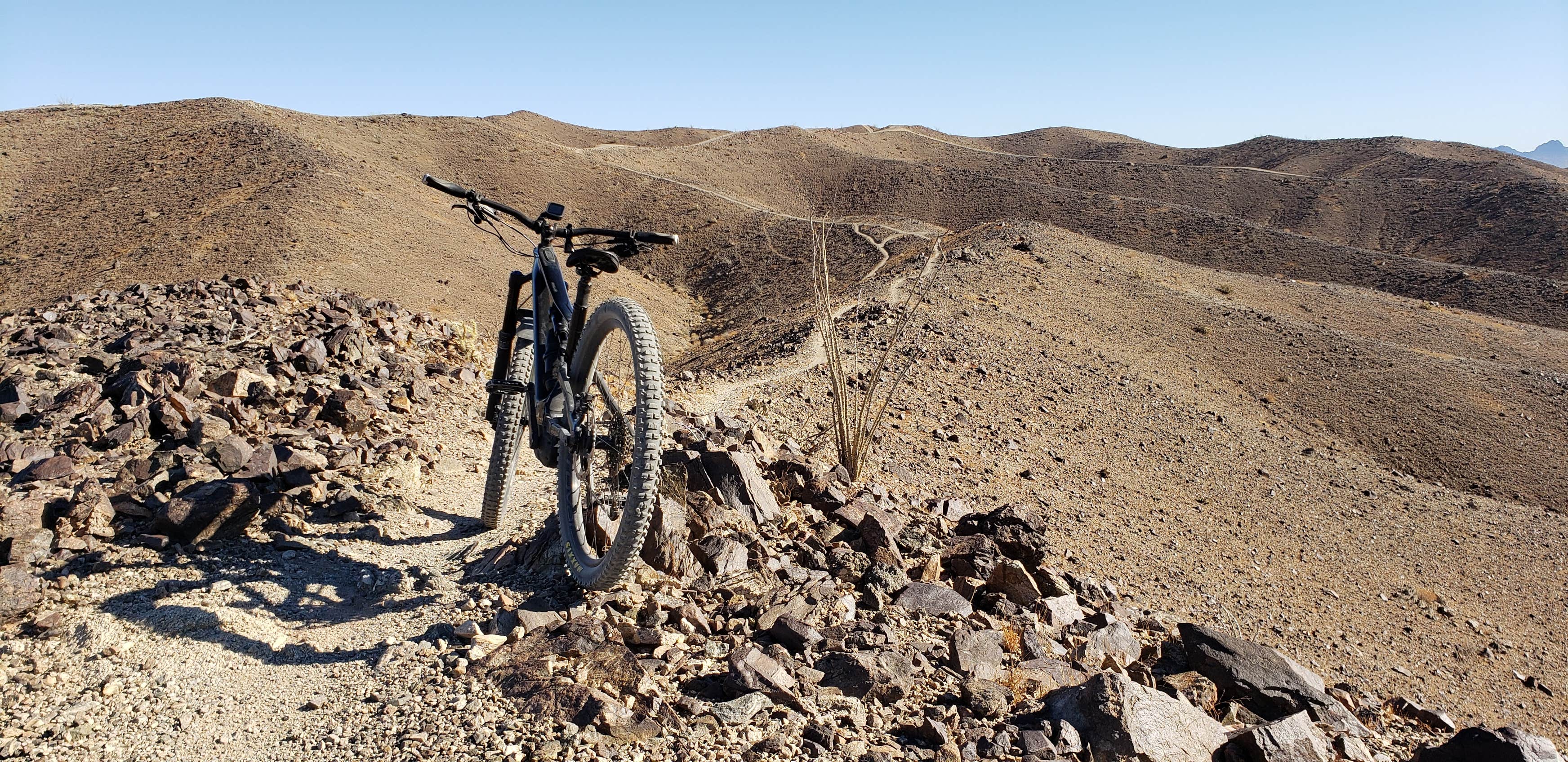 Mittry Lake Wildlife Area | The Dyrt