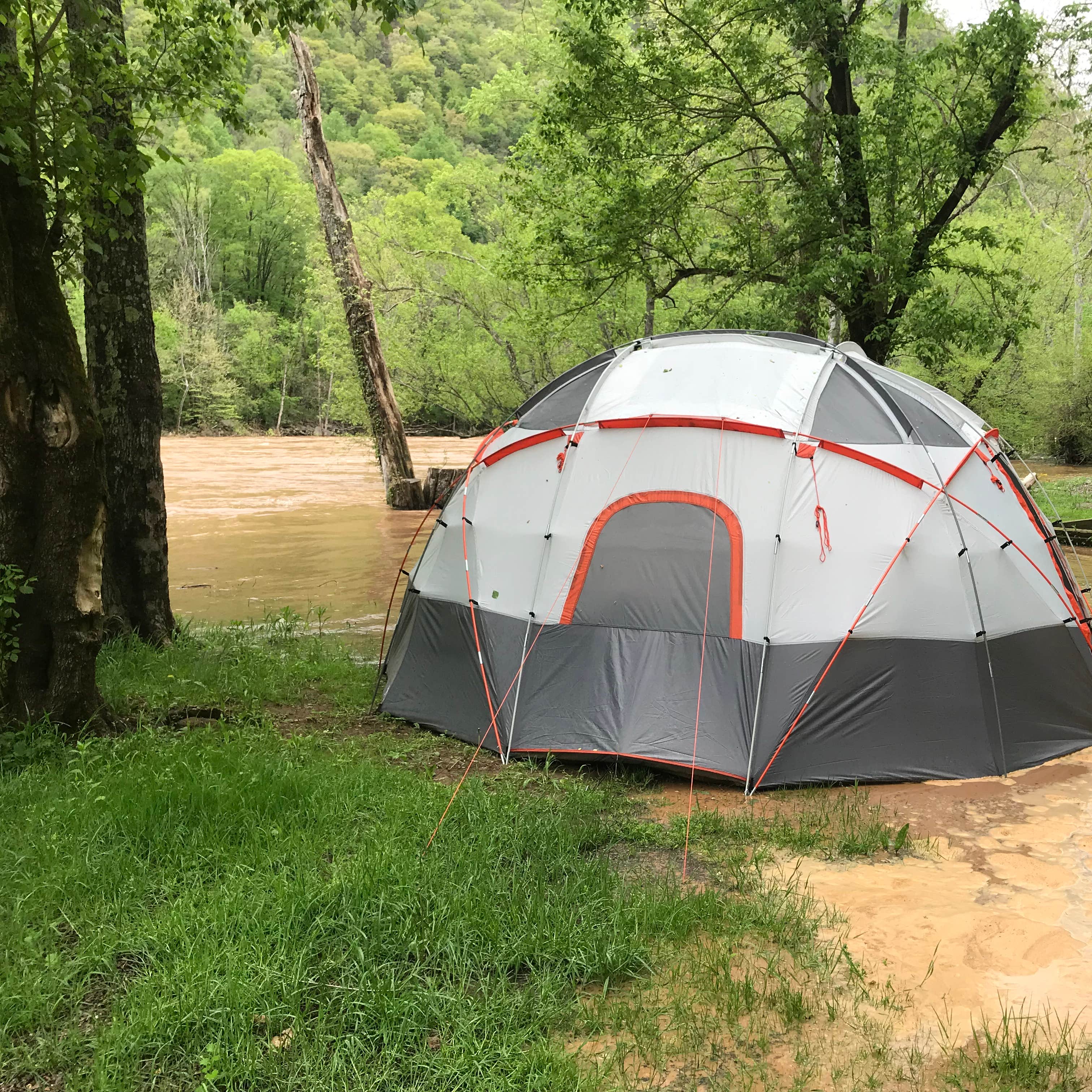 Grandview Sandbar Campground Camping | The Dyrt