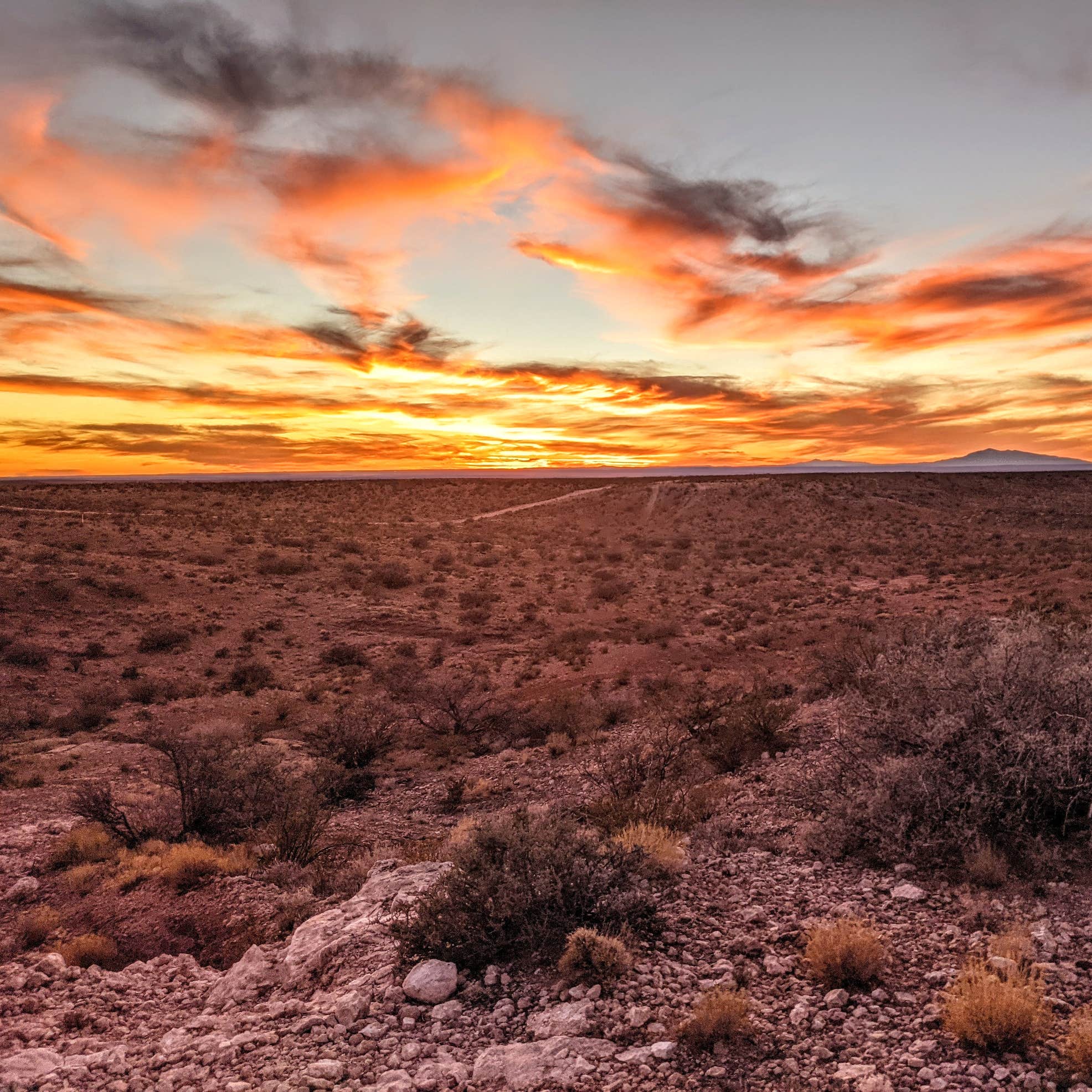 Haystack Mountain OHV Area Camping | The Dyrt