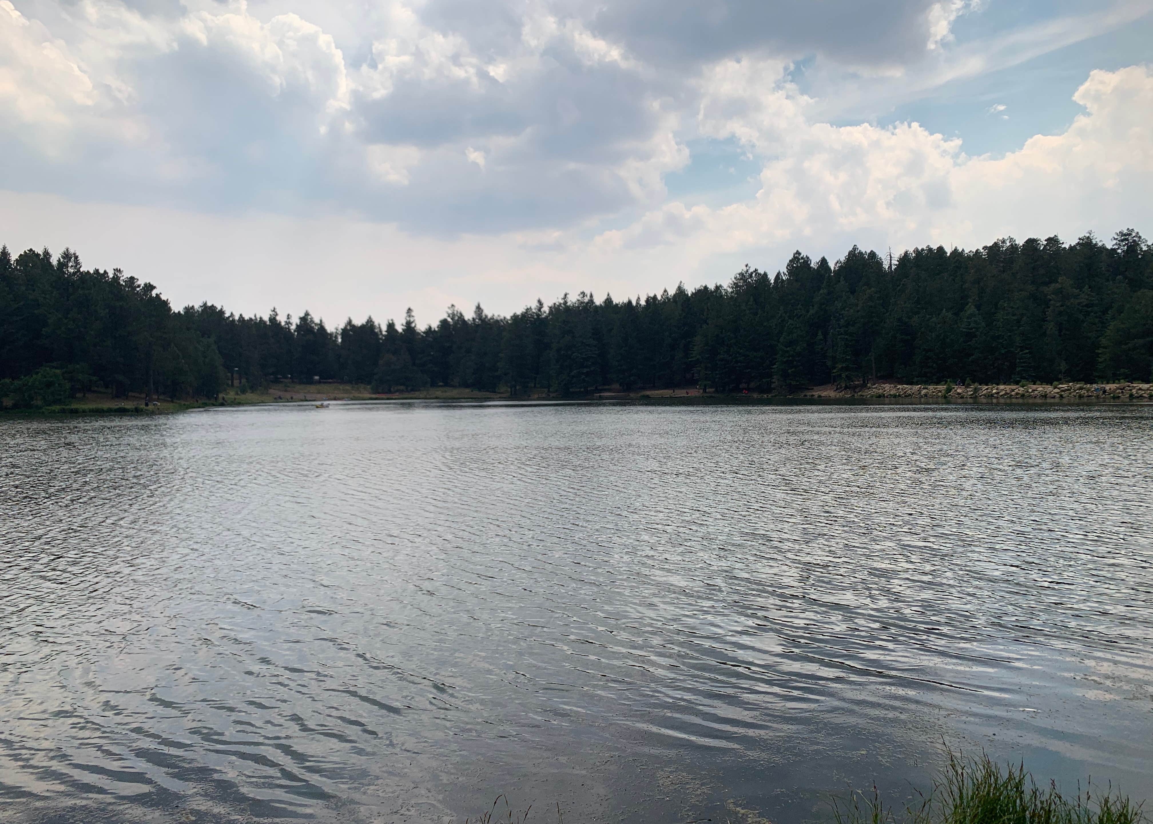 Riggs Flat Campground Camping | The Dyrt