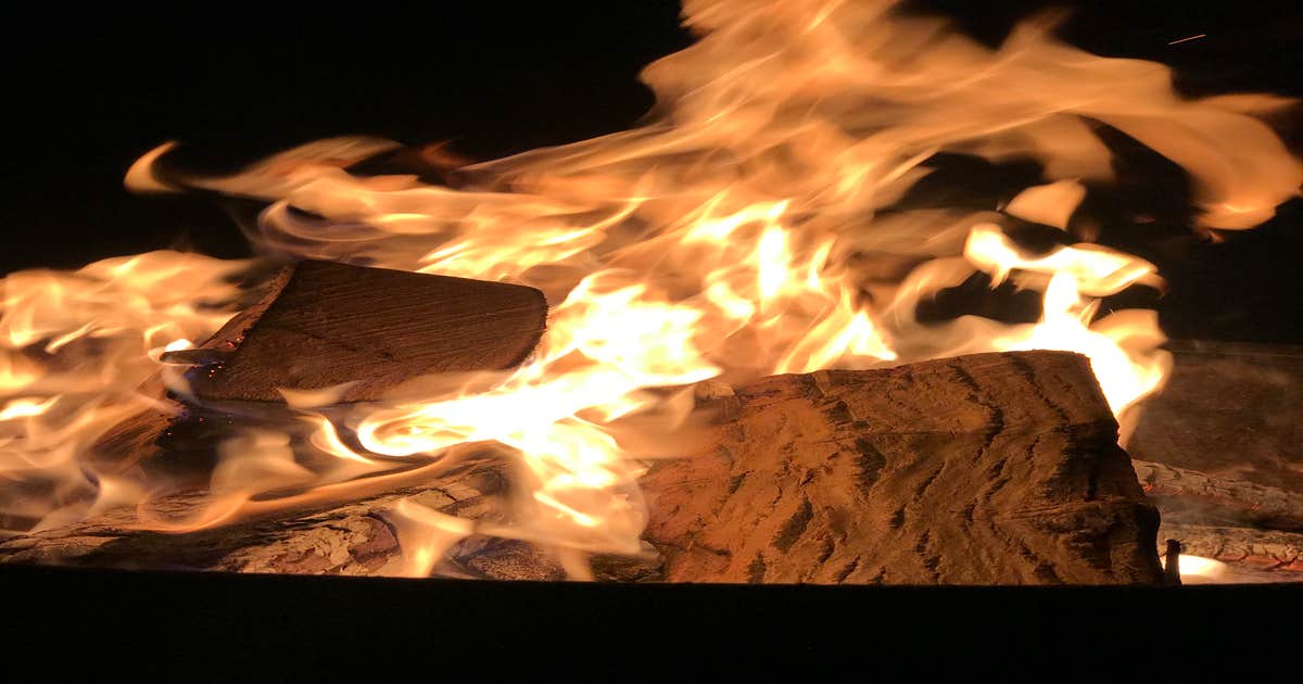 Doran Regional Park Camping | Bodega Bay, California