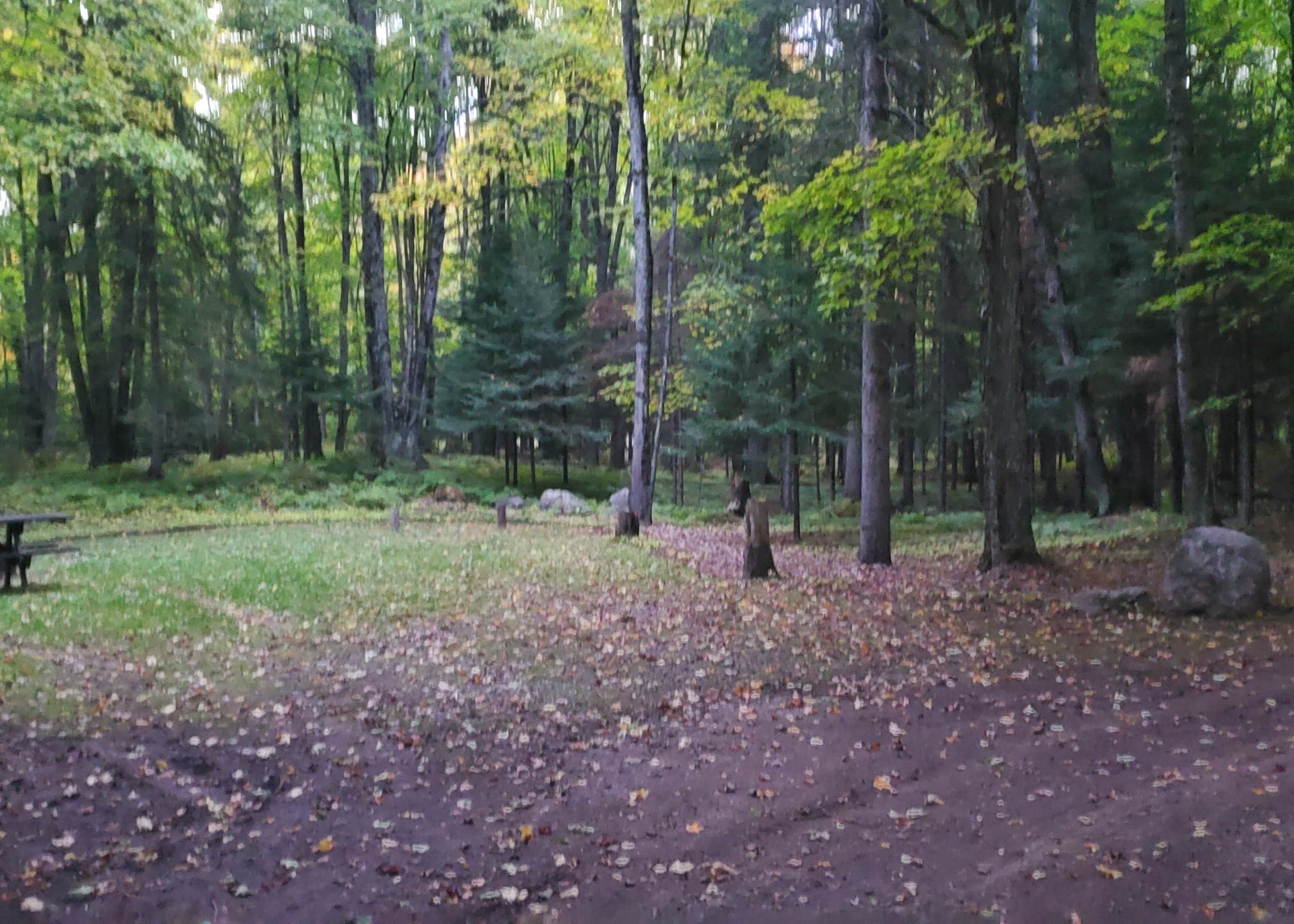 Squaw Lake State Forest Campground Camping | The Dyrt