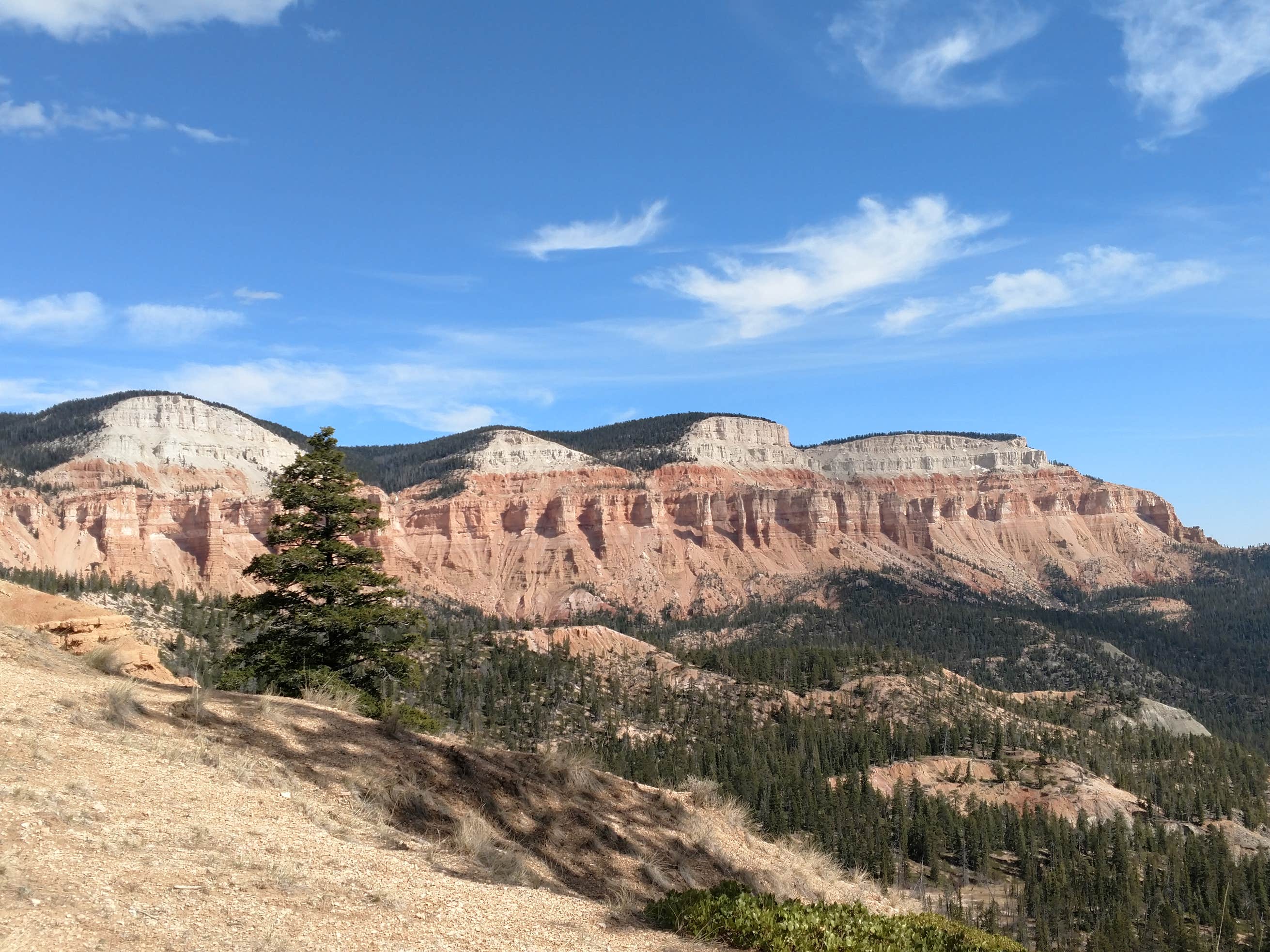 Pine Lake Campground | The Dyrt