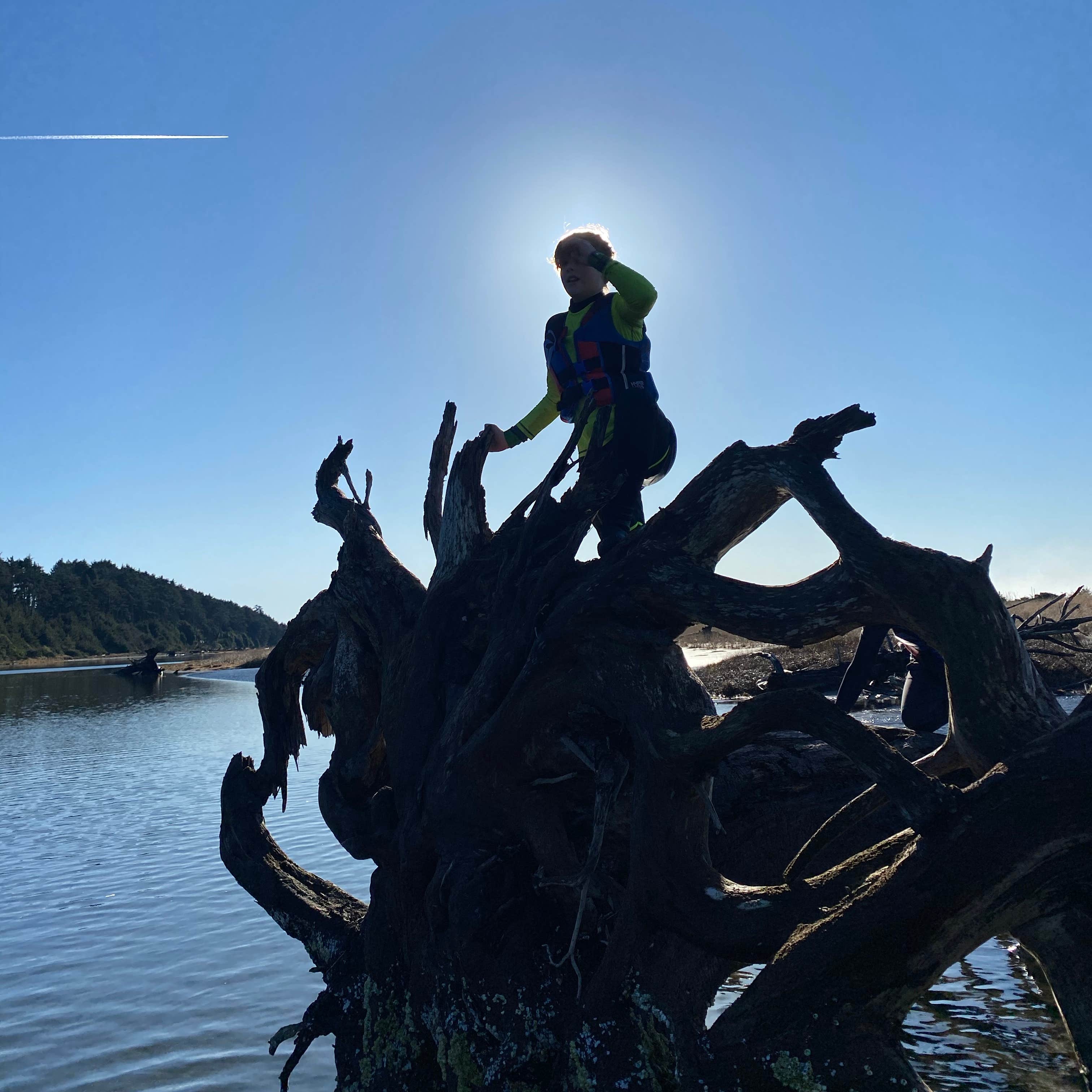 The Driftwood RV Resort and Campground Camping | The Dyrt