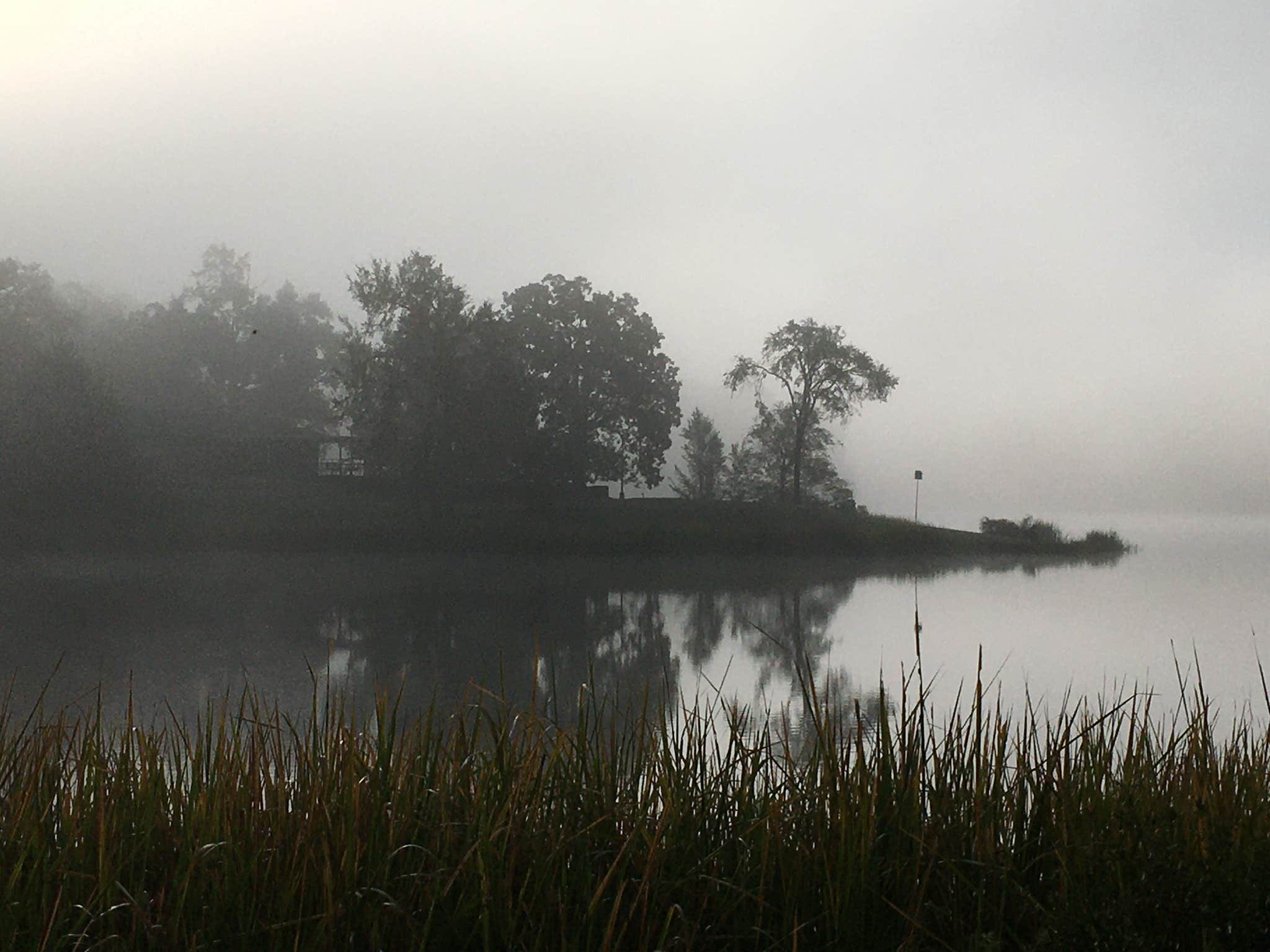 Tyler State Park | The Dyrt