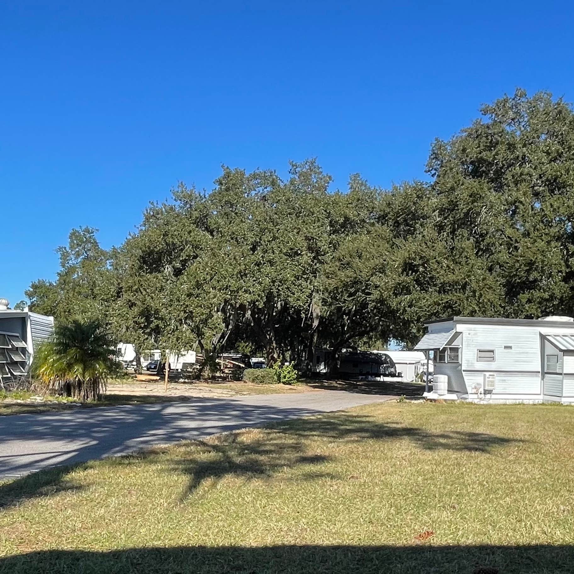 Southern Palms RV Resort Camping | The Dyrt