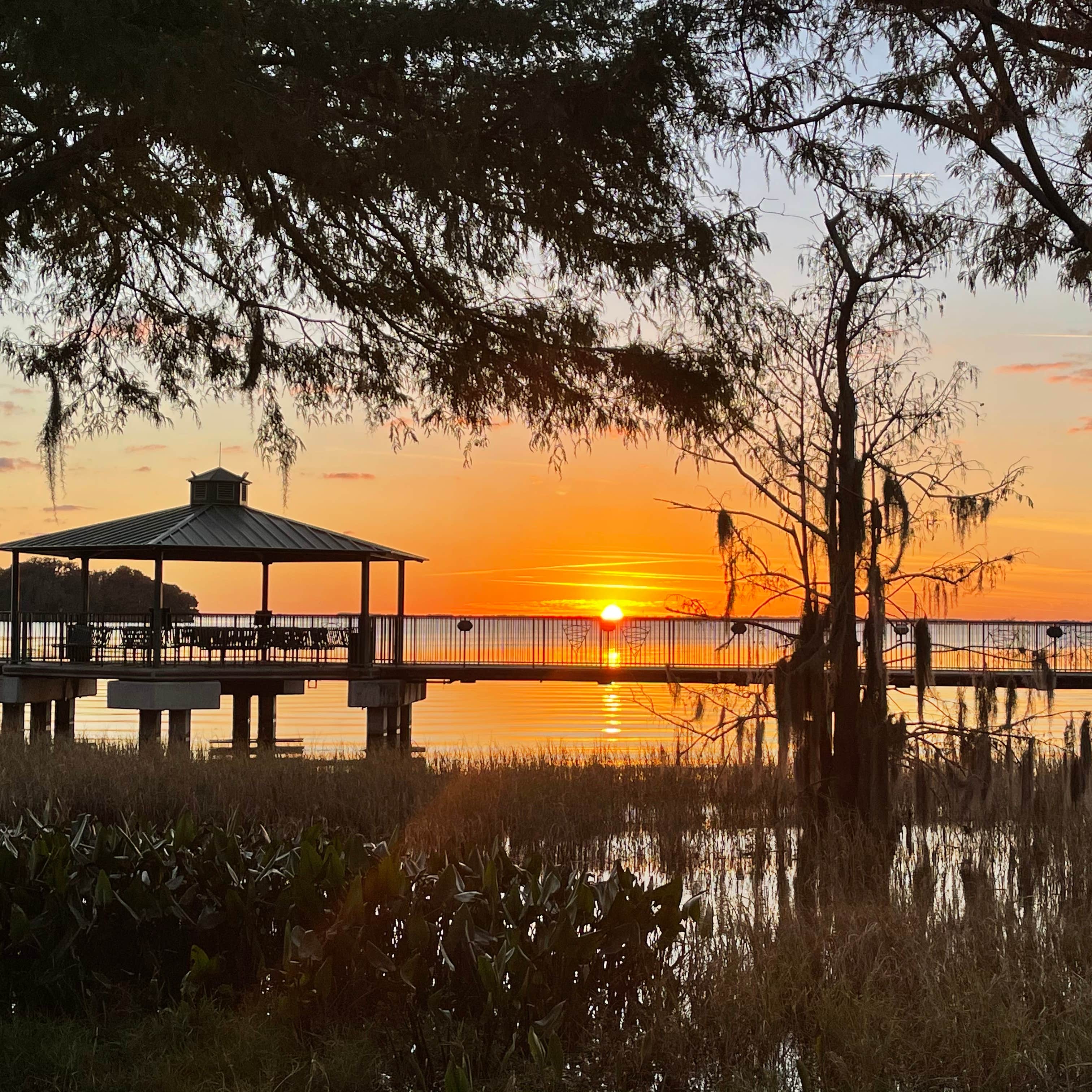 Encore Southern Palms Camping | The Dyrt