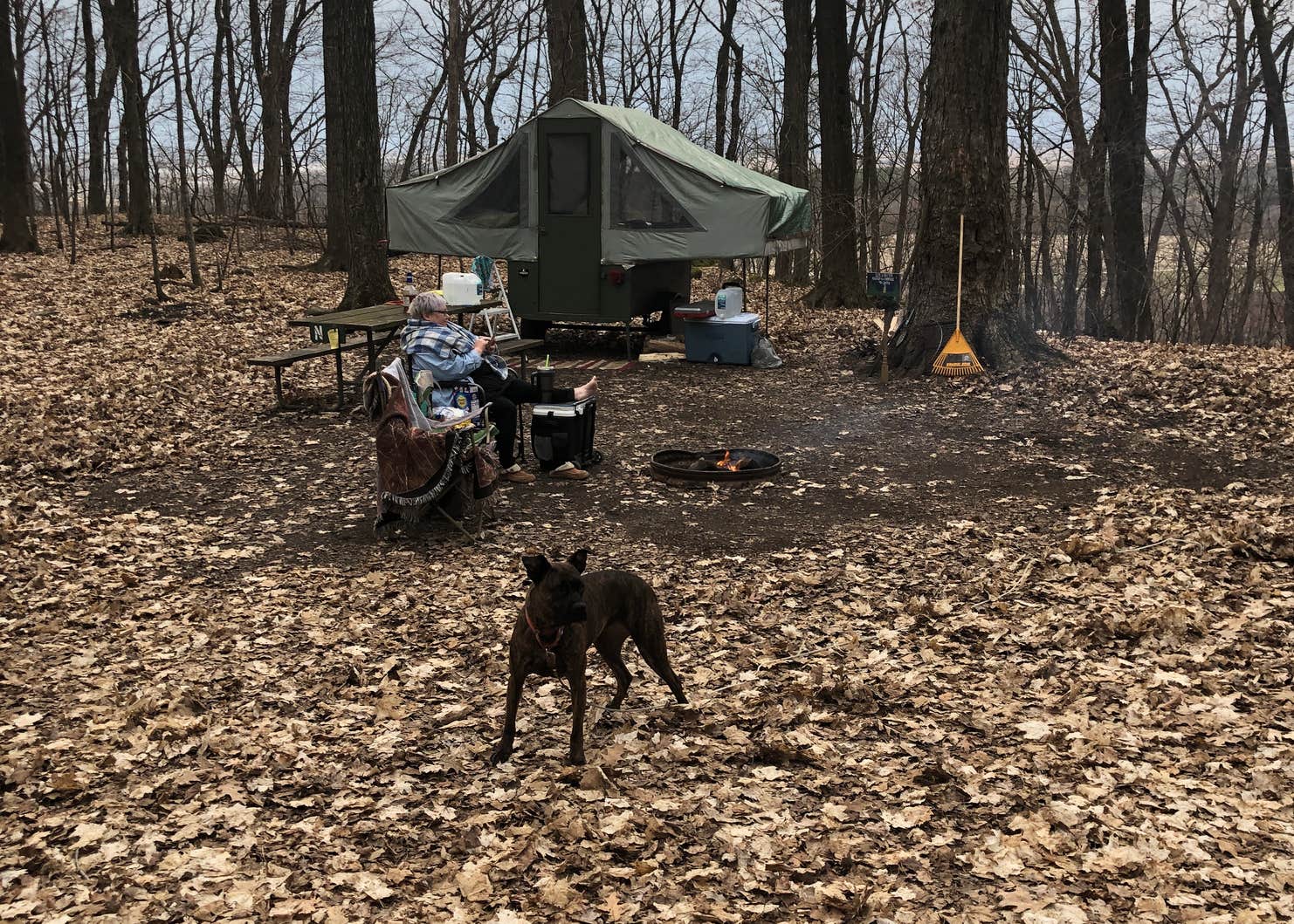Ledge County Park Camping | The Dyrt